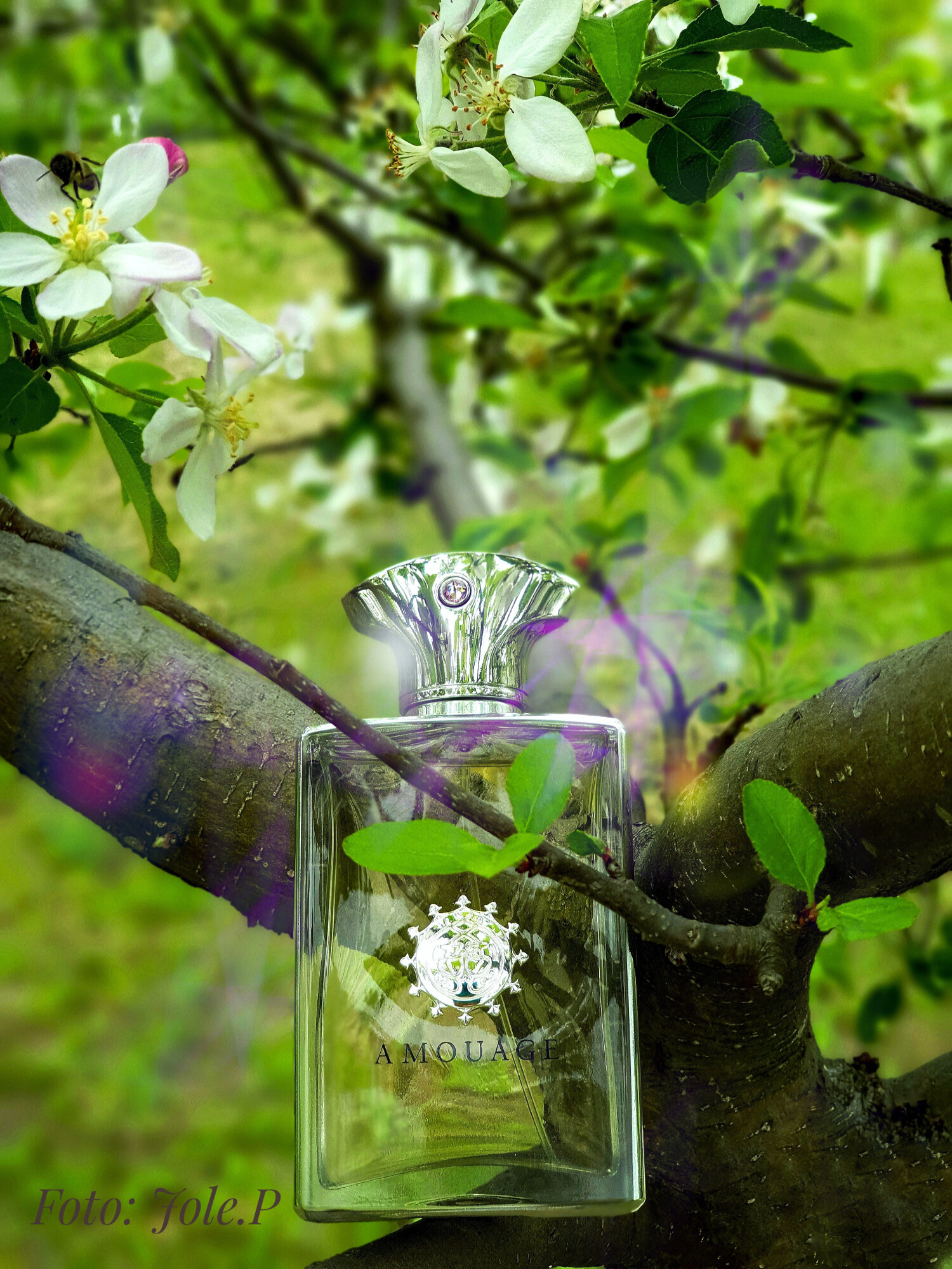 Reflection Man Amouage cologne - a fragrance for men 2007