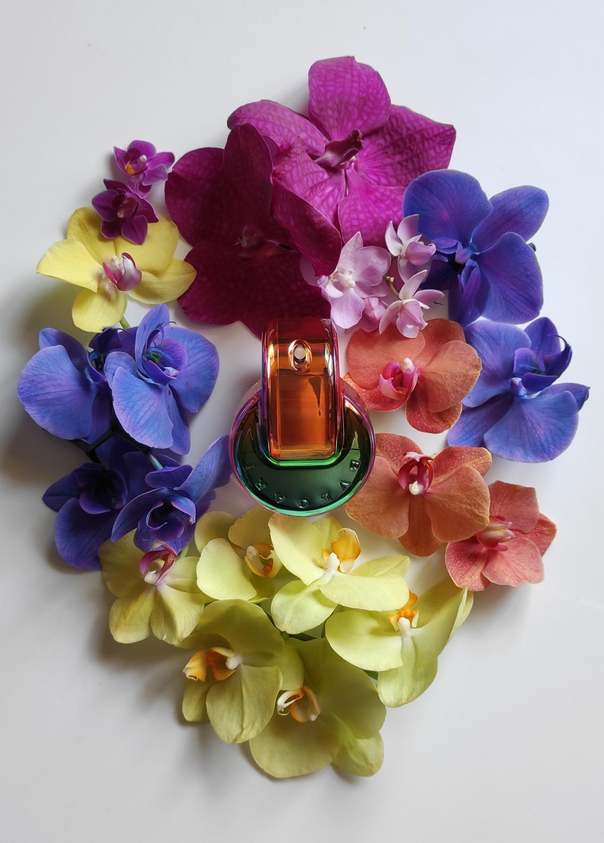 Omnia by Mary Katrantzou Bvlgari perfume - a fragrance for women 2021