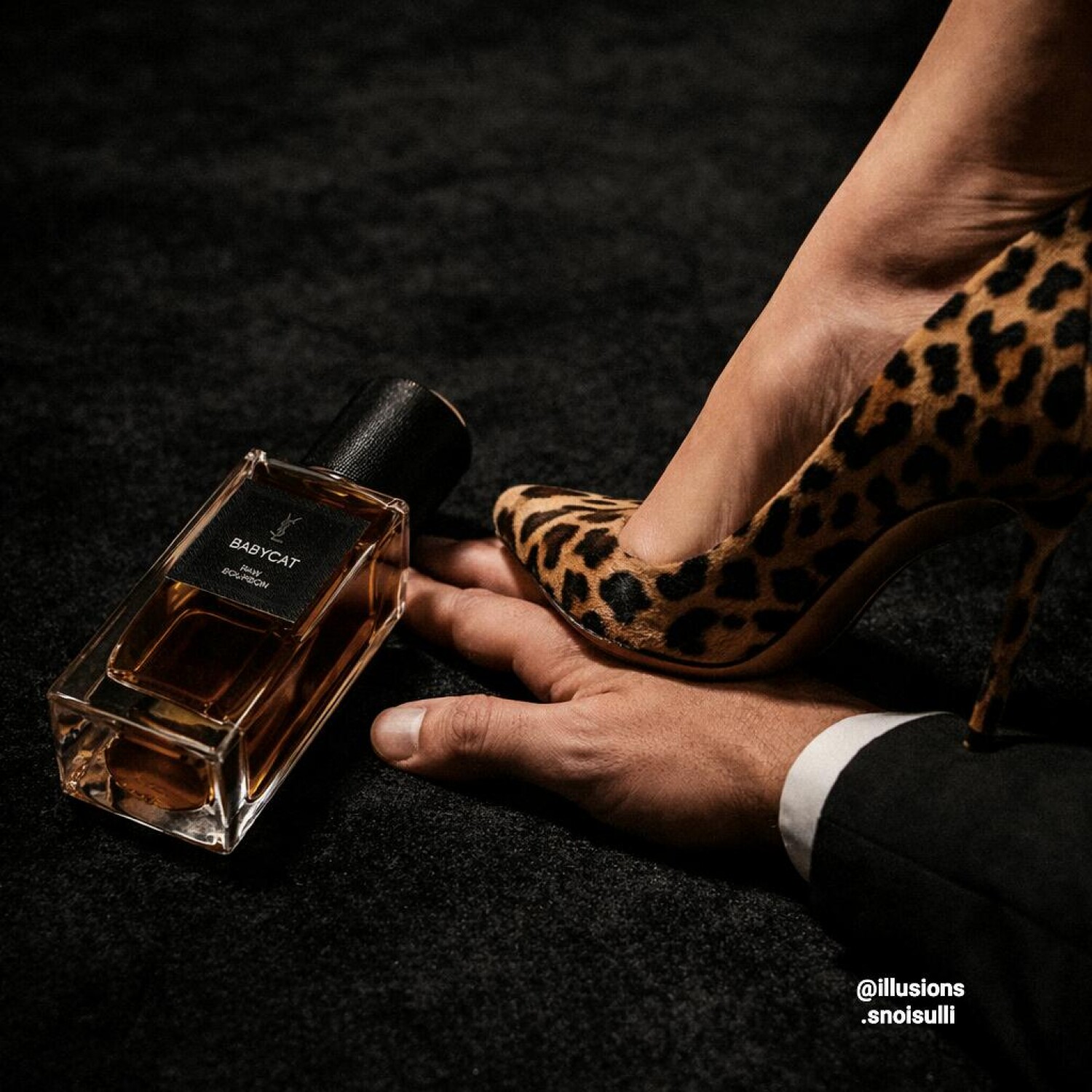 Babycat Raw Bourbon Yves Saint Laurent perfume - a new fragrance for ...