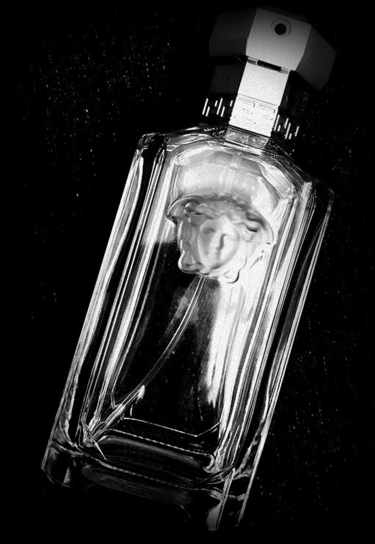 The Dreamer Versace cologne - a fragrance for men