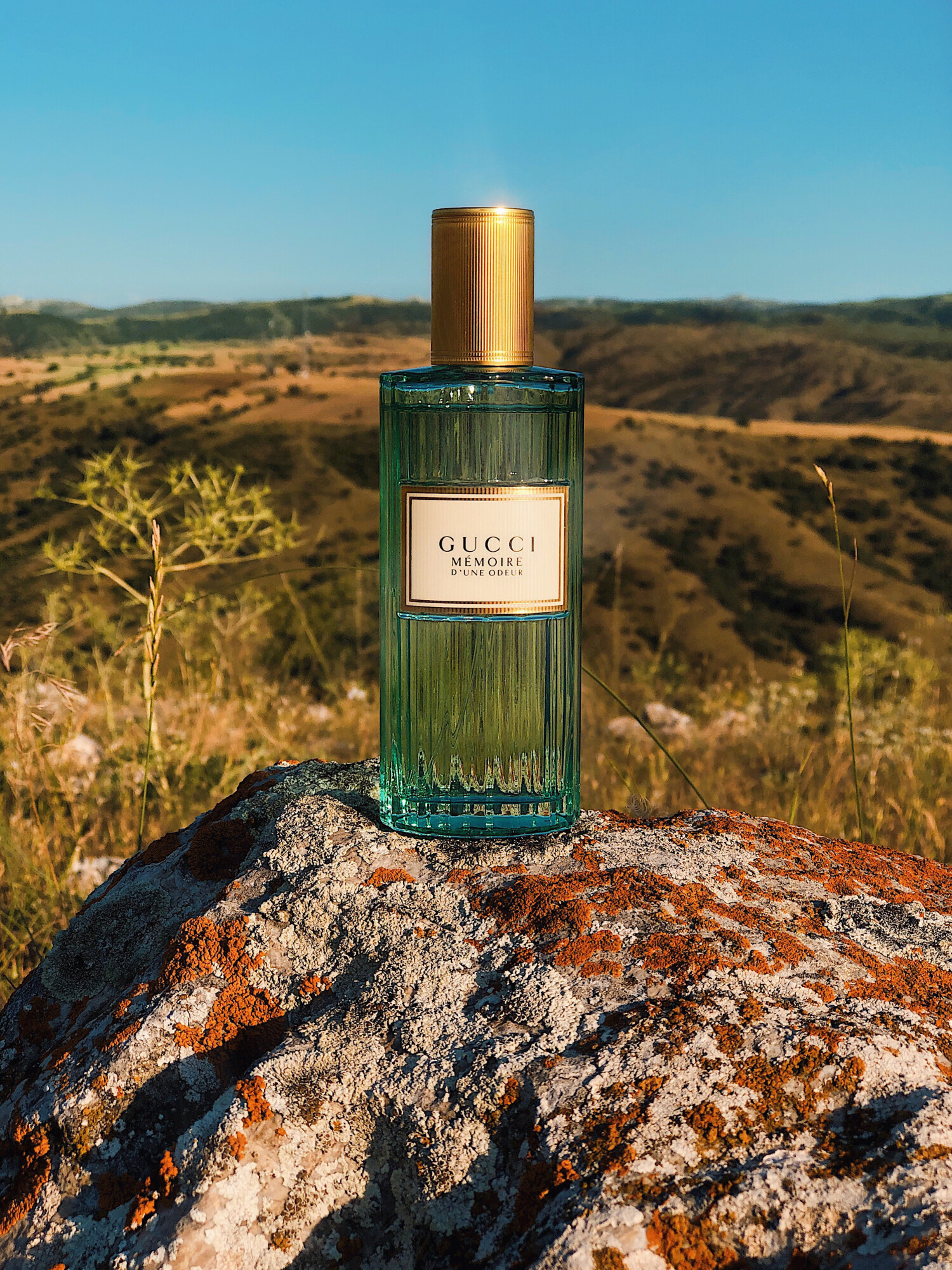 Mémoire d’une Odeur Gucci perfume - a fragrance for women and men 2019