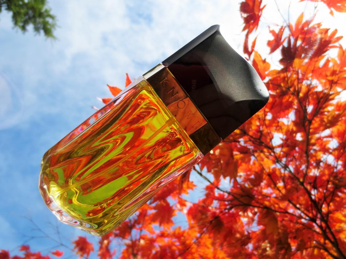 Knowing Estée Lauder perfume - a fragrance for women 1988