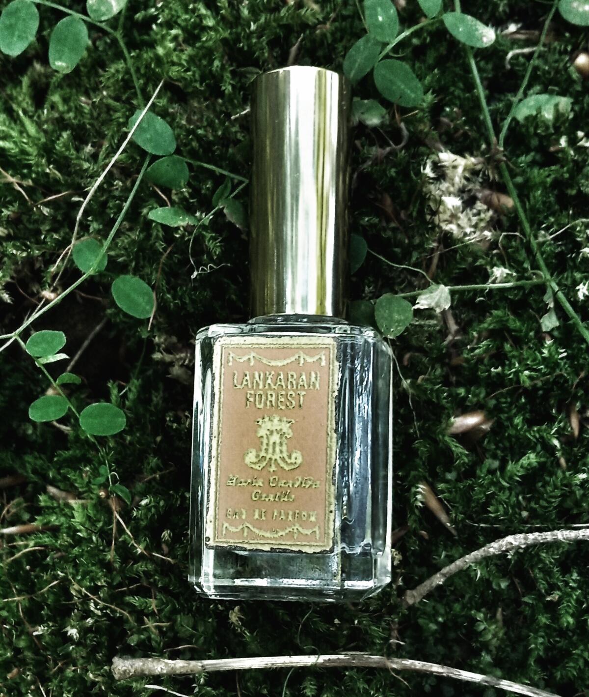 Lankaran Forest Maria Candida Gentile perfume - a fragrance for women ...