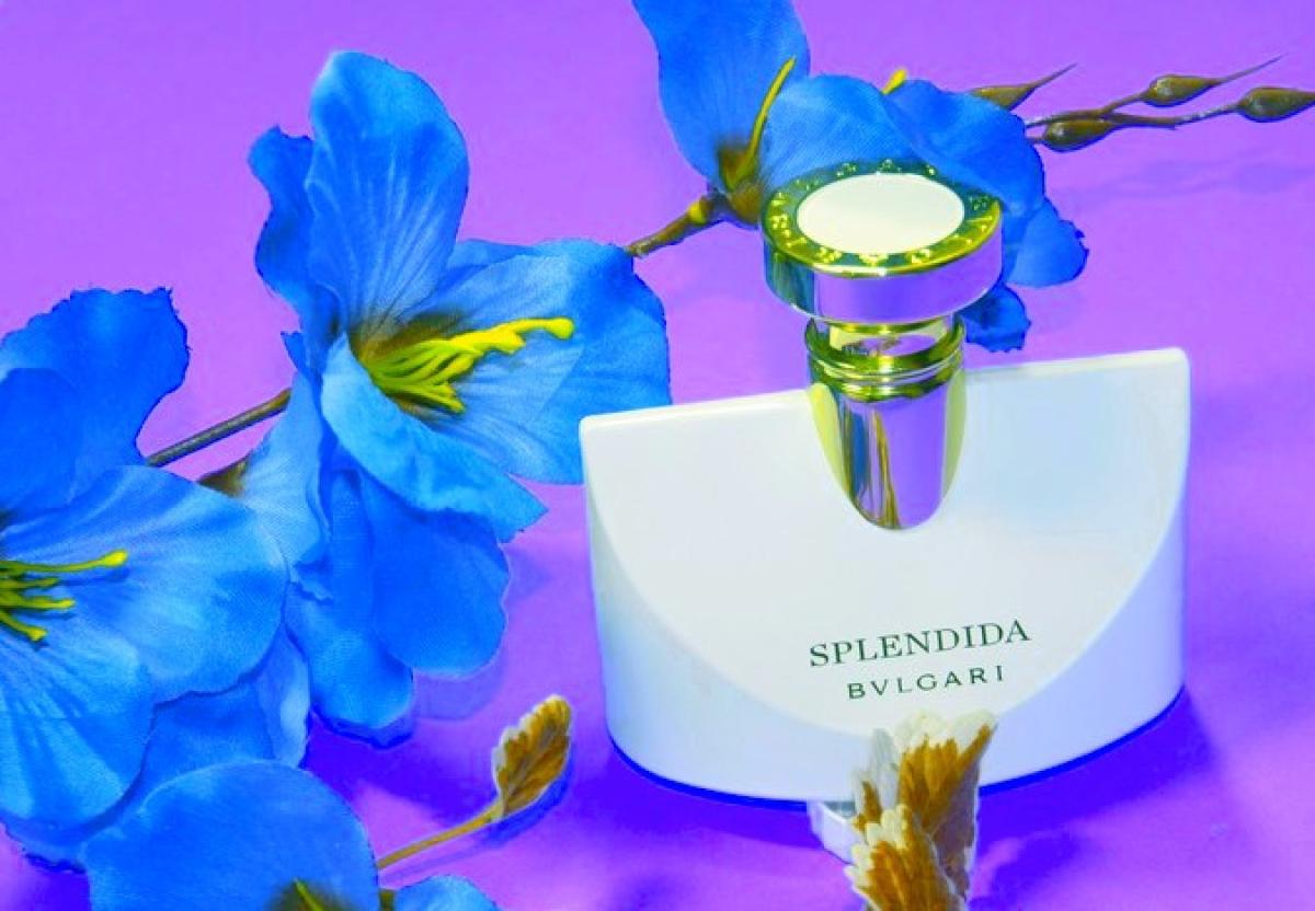 Splendida Patchouli Tentation Bvlgari perfume - a fragrance for women 2020