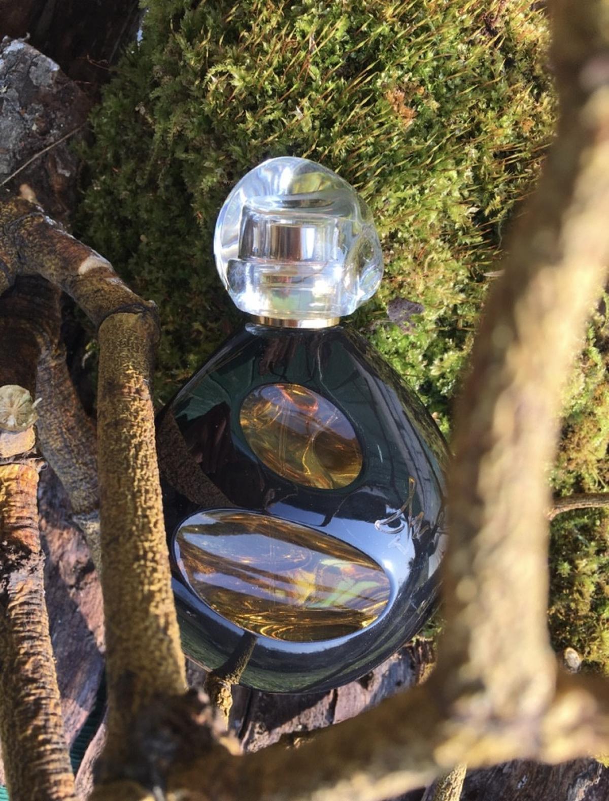 Izia La Nuit Sisley perfume - a fragrance for women 2021