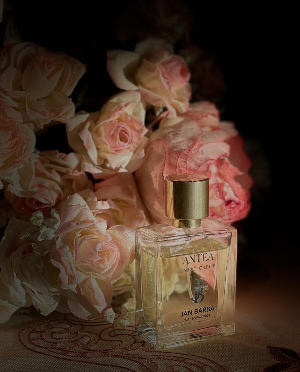 Antea JAN BARBA perfume - a new fragrance for women and men 2024
