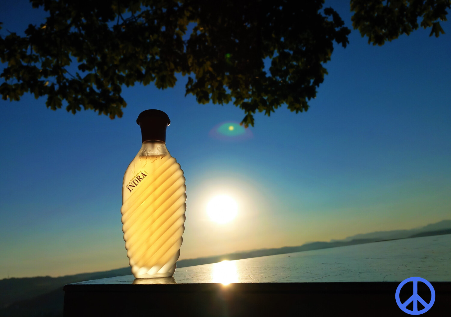 Indra Ulric de Varens perfume - a fragrance for women