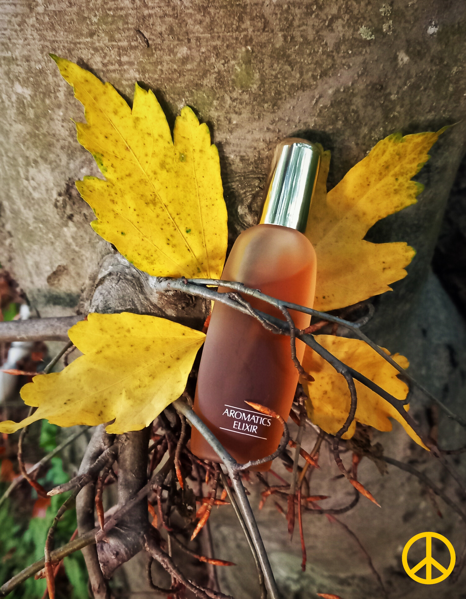 Aromatics Elixir Clinique perfume - a fragrance for women 1971