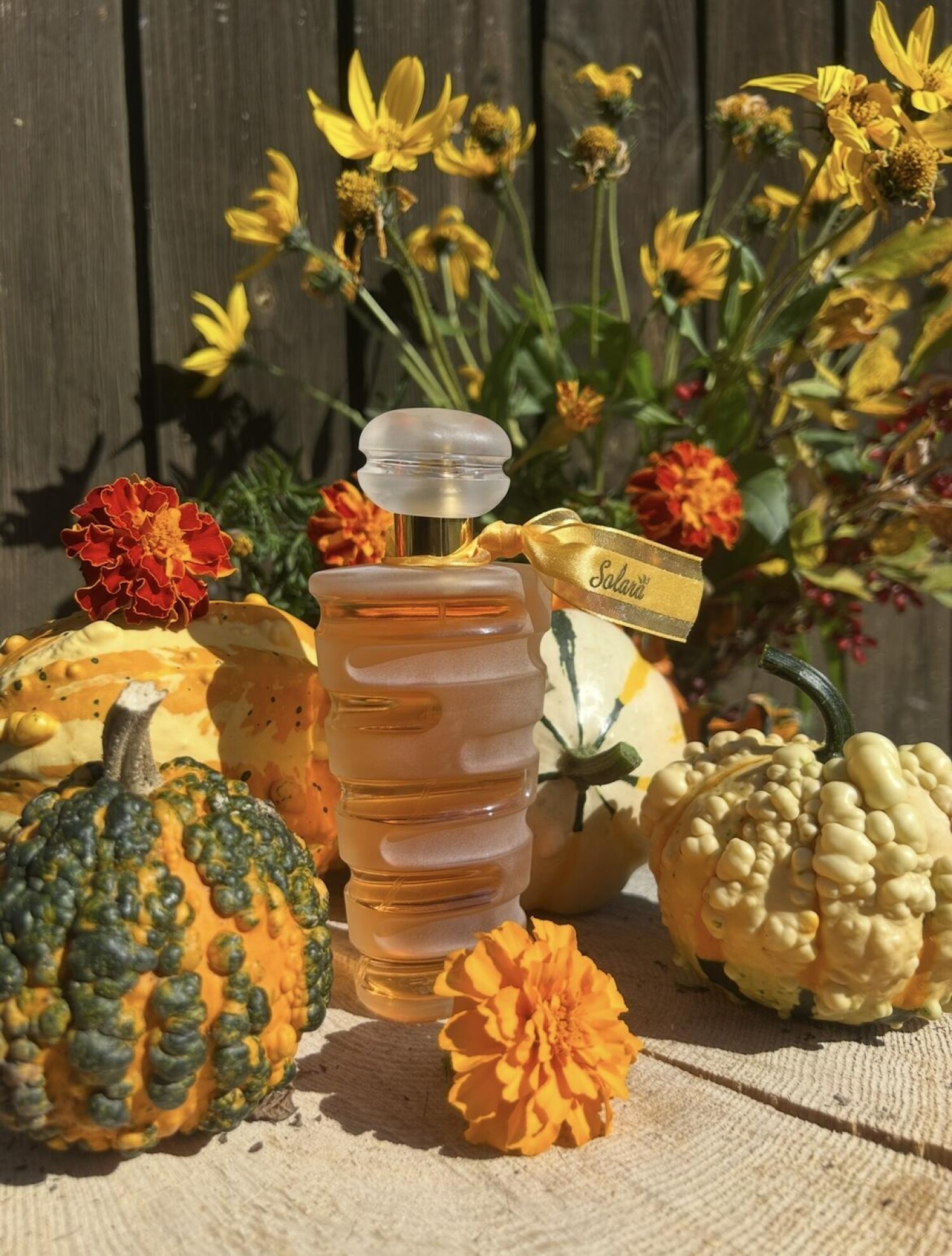 Solara Lomani perfume - a fragrance for women