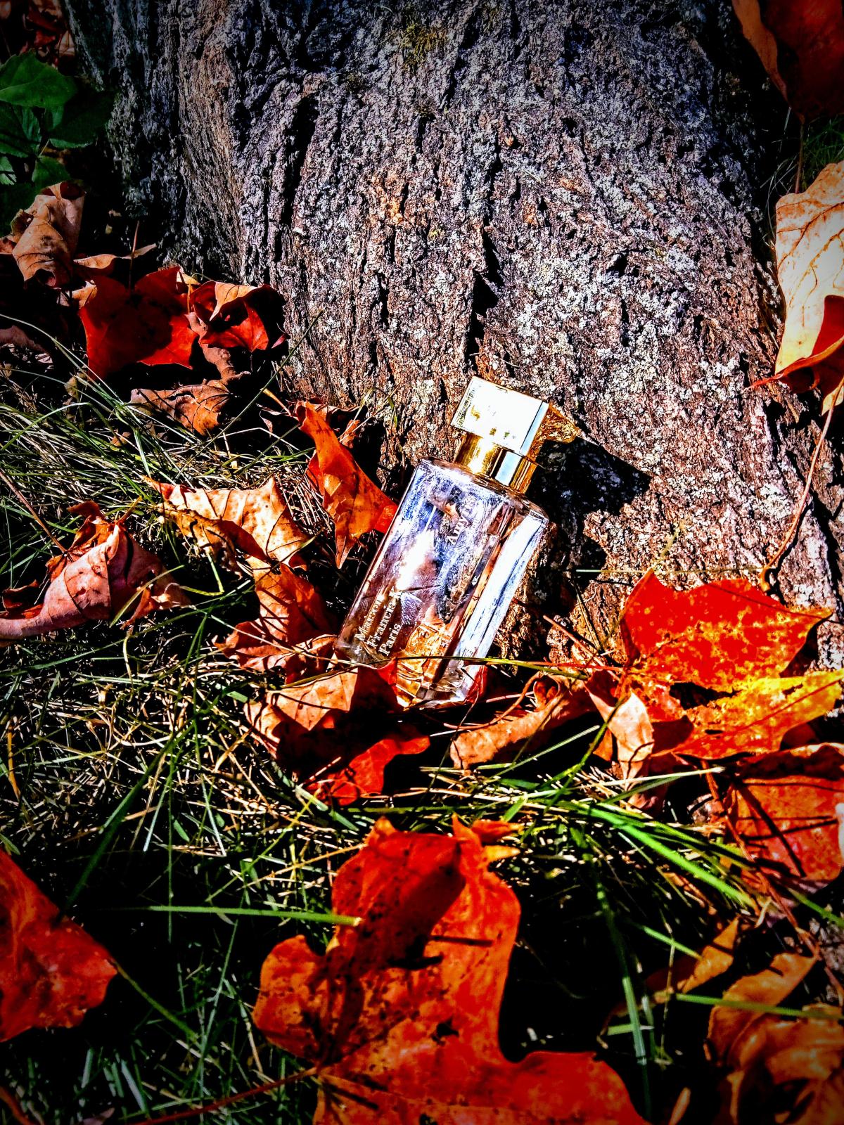 Amyris Femme Maison Francis Kurkdjian perfume - a fragrance for women 2012