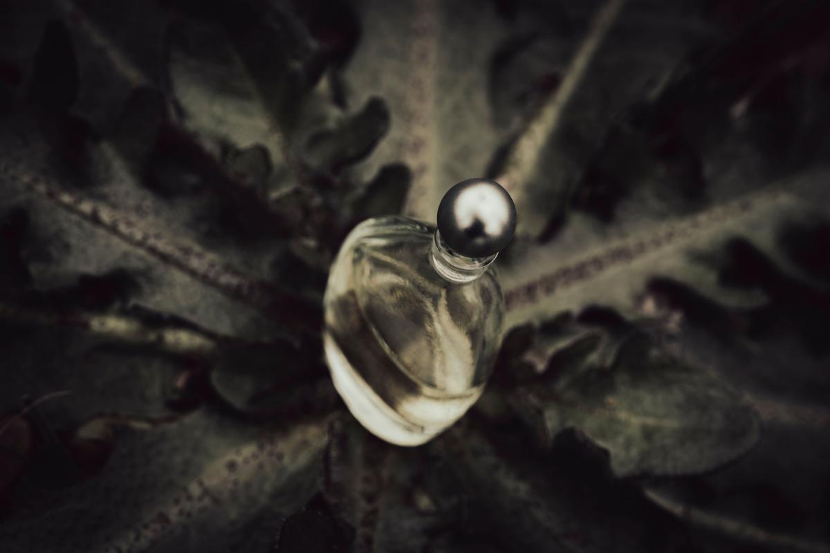 Eau d'Eden Cacharel perfume - a fragrance for women 1996