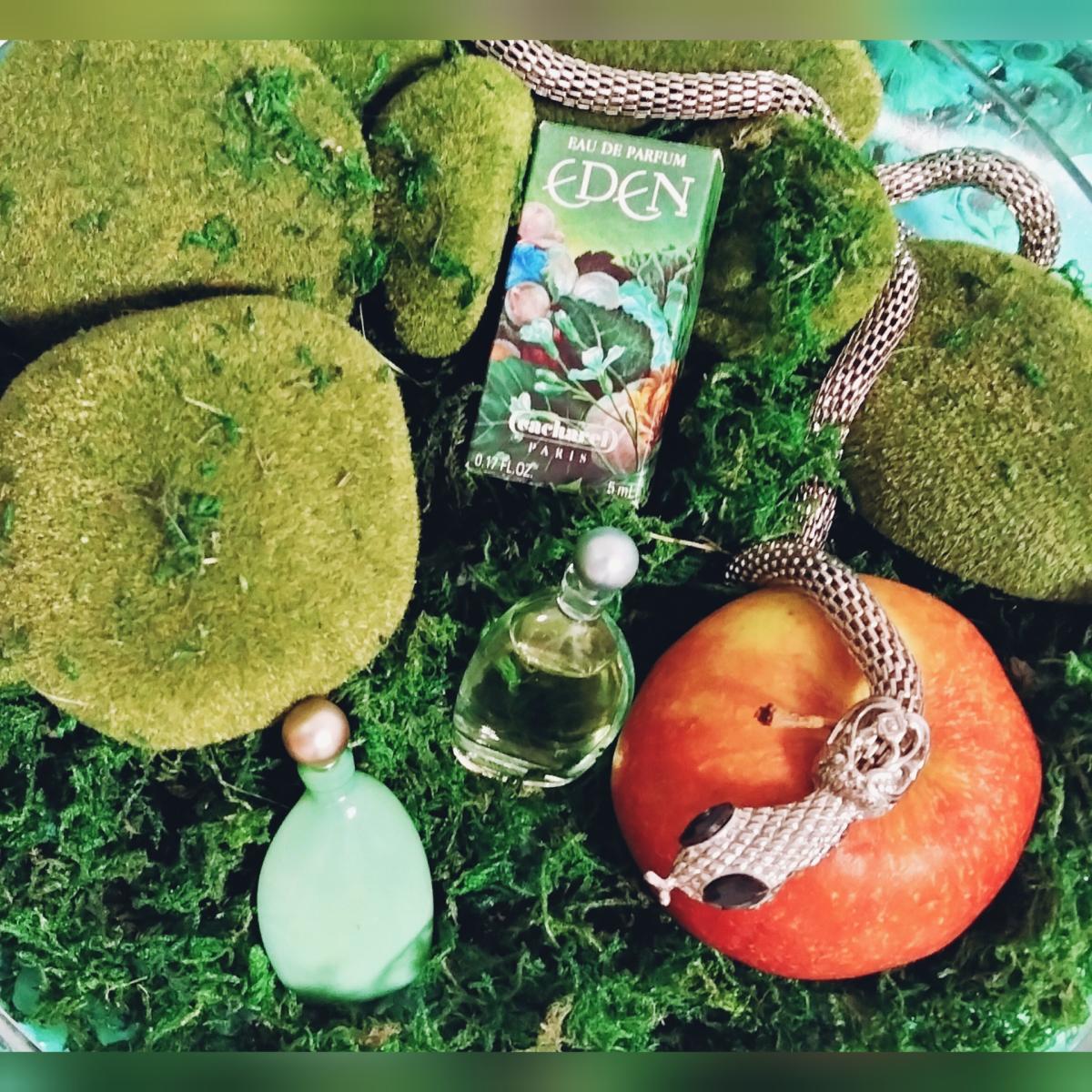 Eau d'Eden Cacharel perfume - a fragrance for women 1996