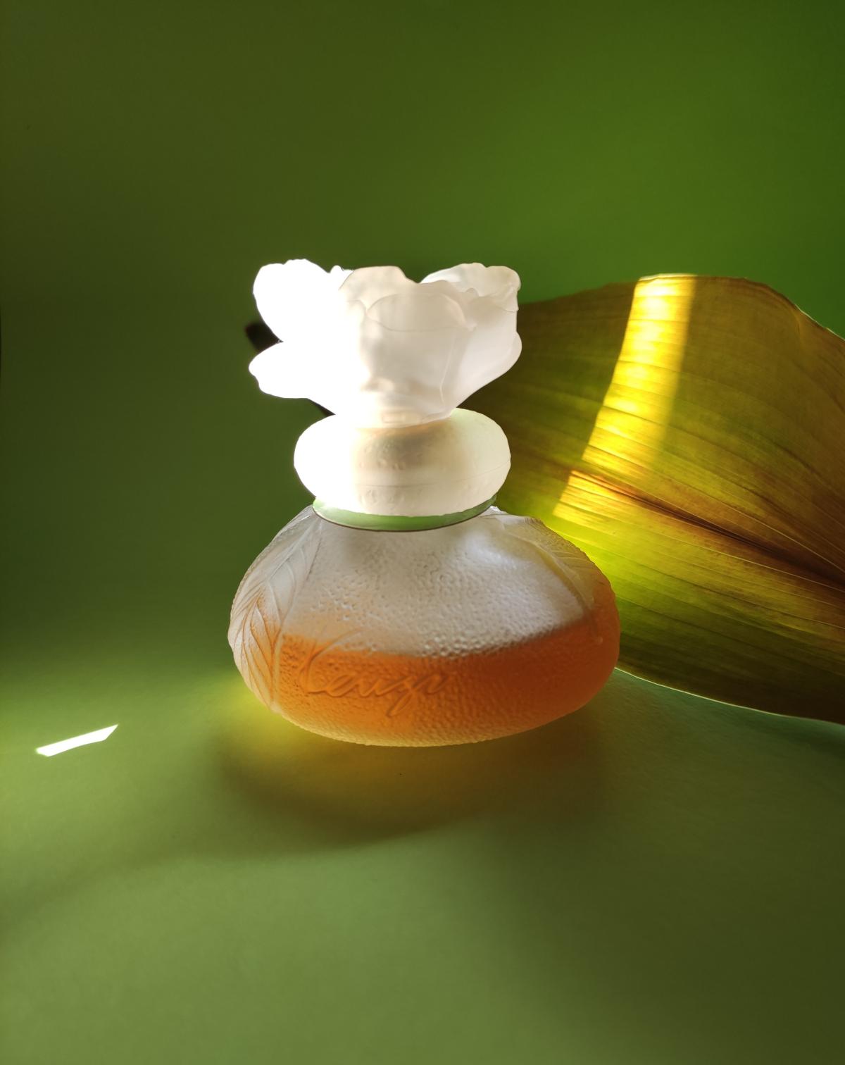 Kenzo Kenzo perfume - a fragrance for women 1988