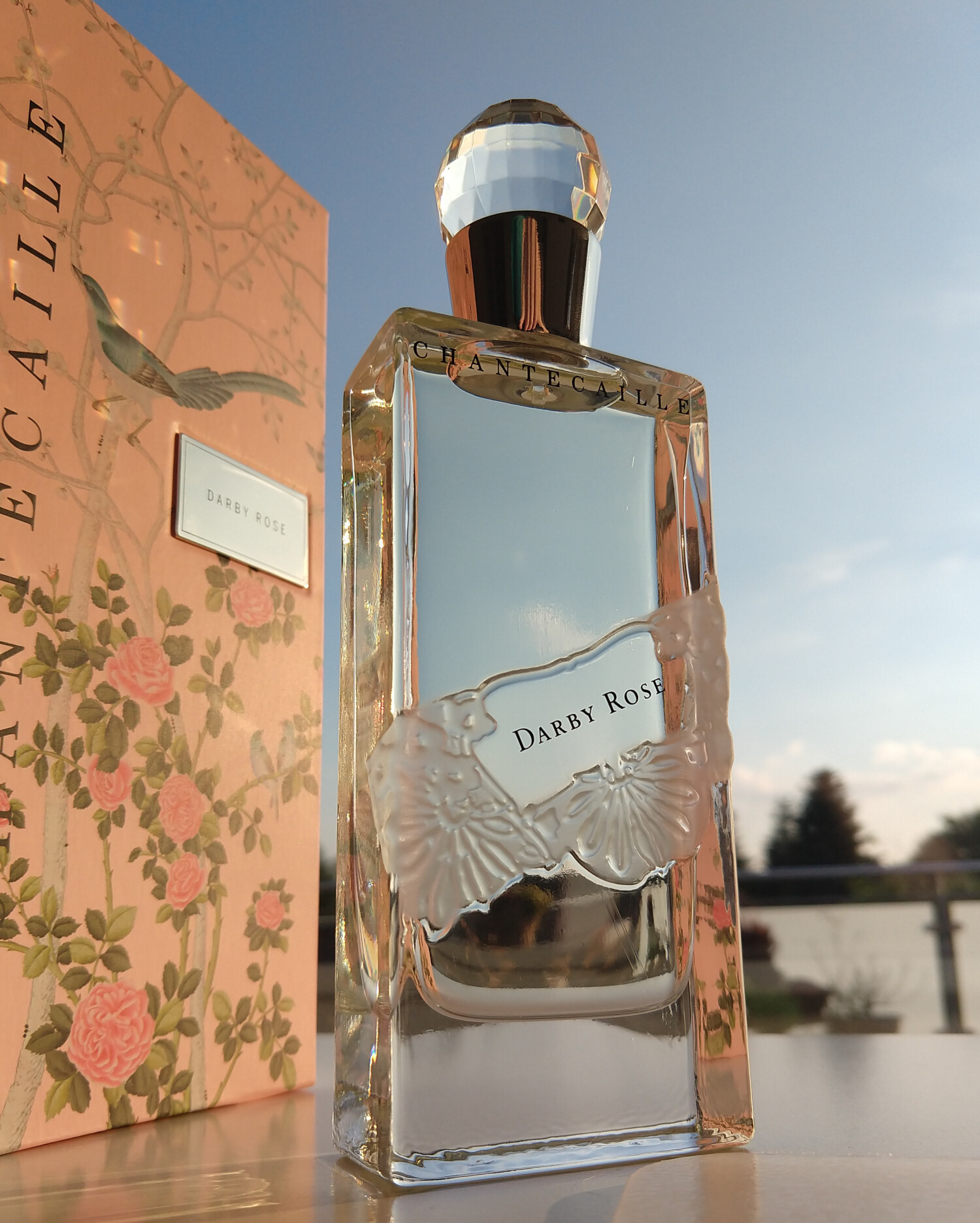 Darby Rose Chantecaille perfume - a fragrance for women 2019