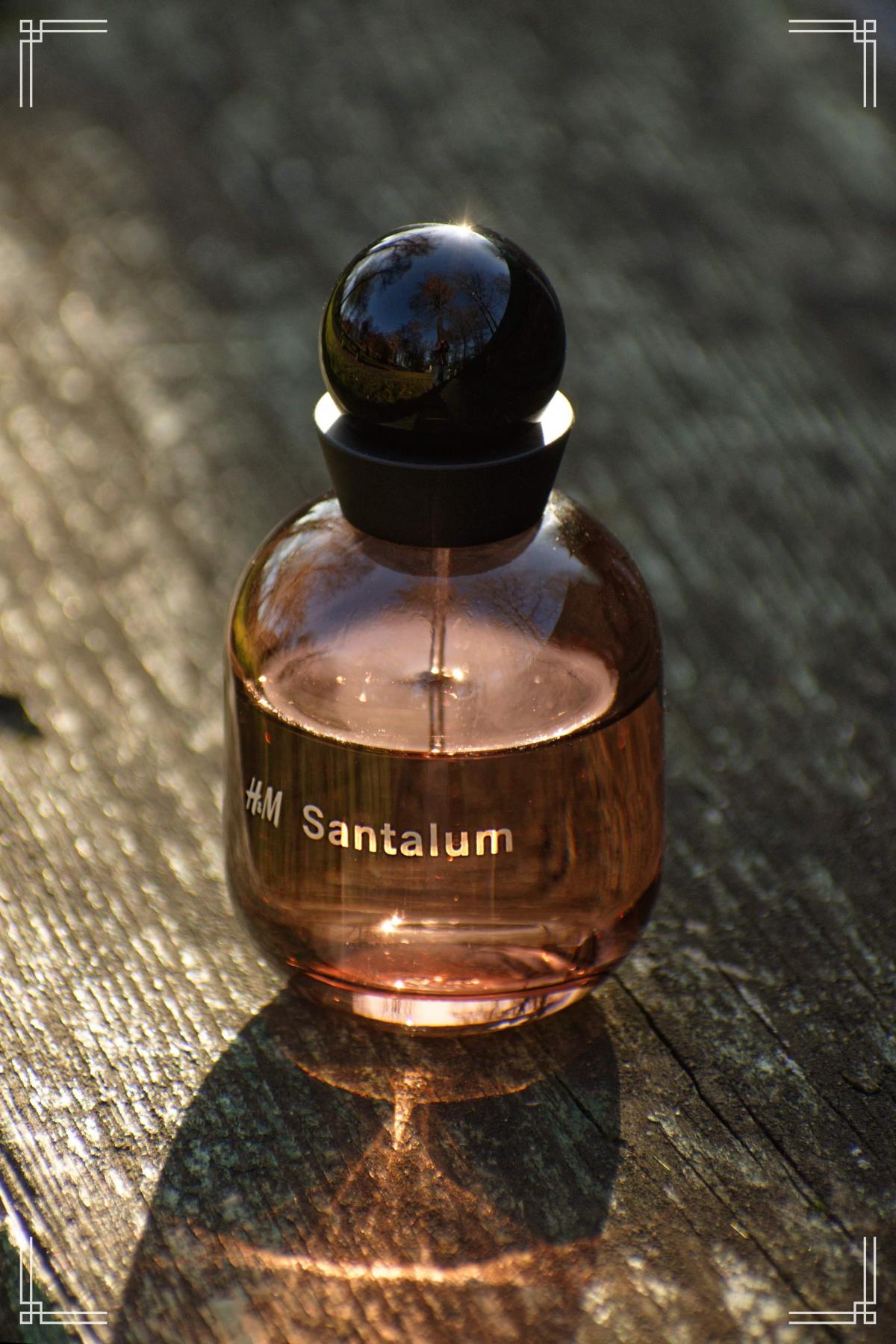 H&M Santalum H&M perfume - a fragrance for women and men 2018