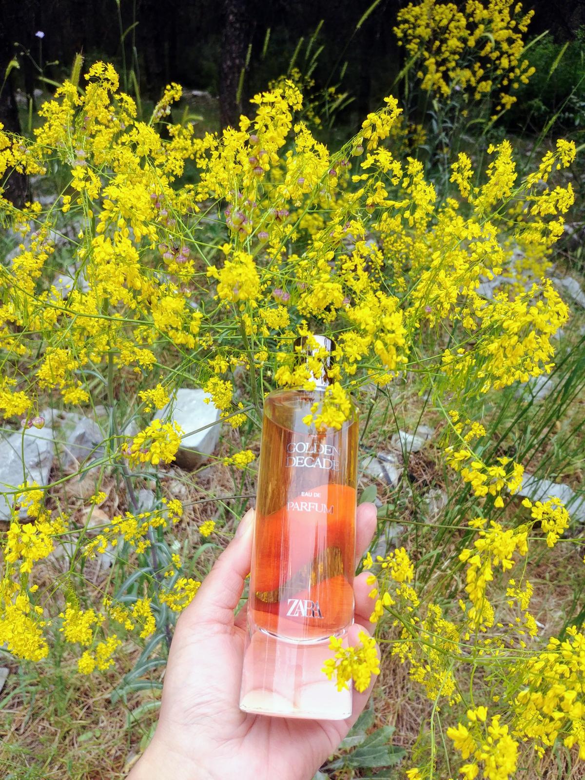 Golden Decade Zara perfume - a new fragrance for women 2021