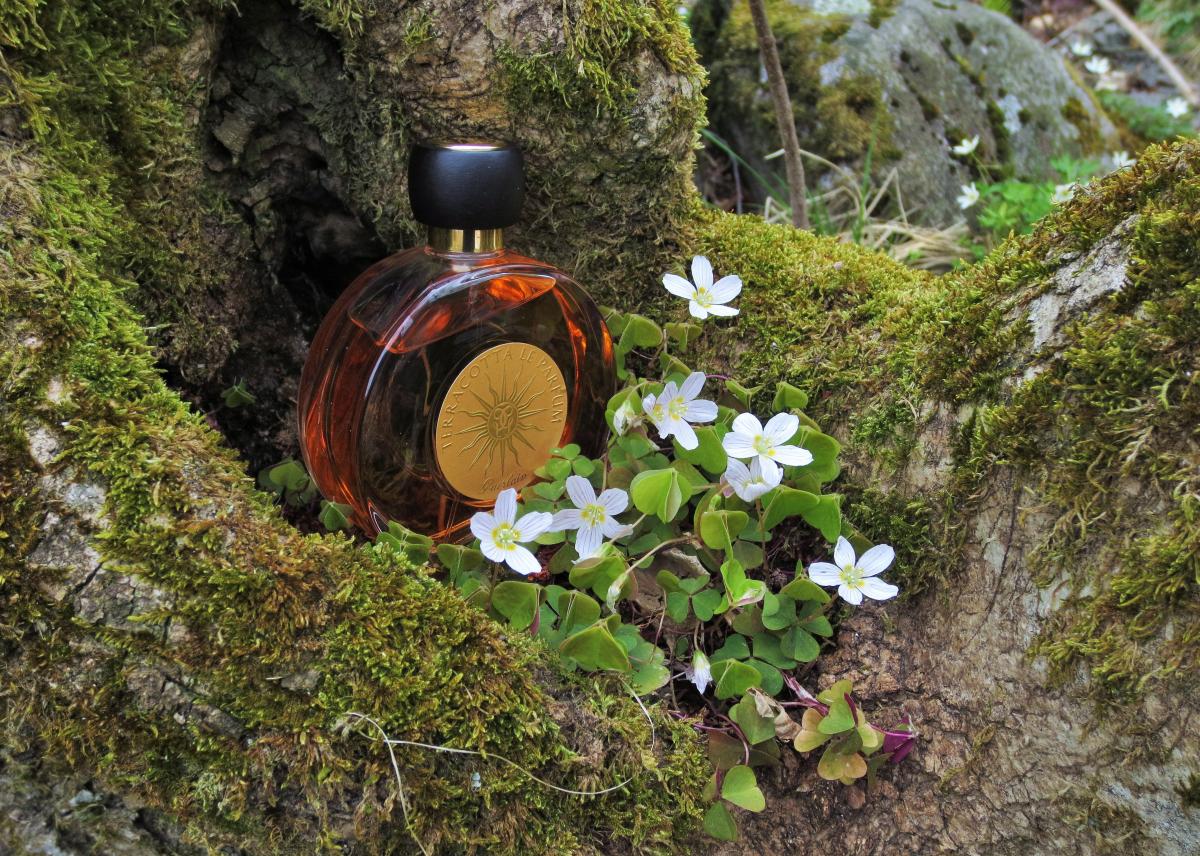 Terracotta Le Parfum Guerlain perfume - a fragrance for women 2014