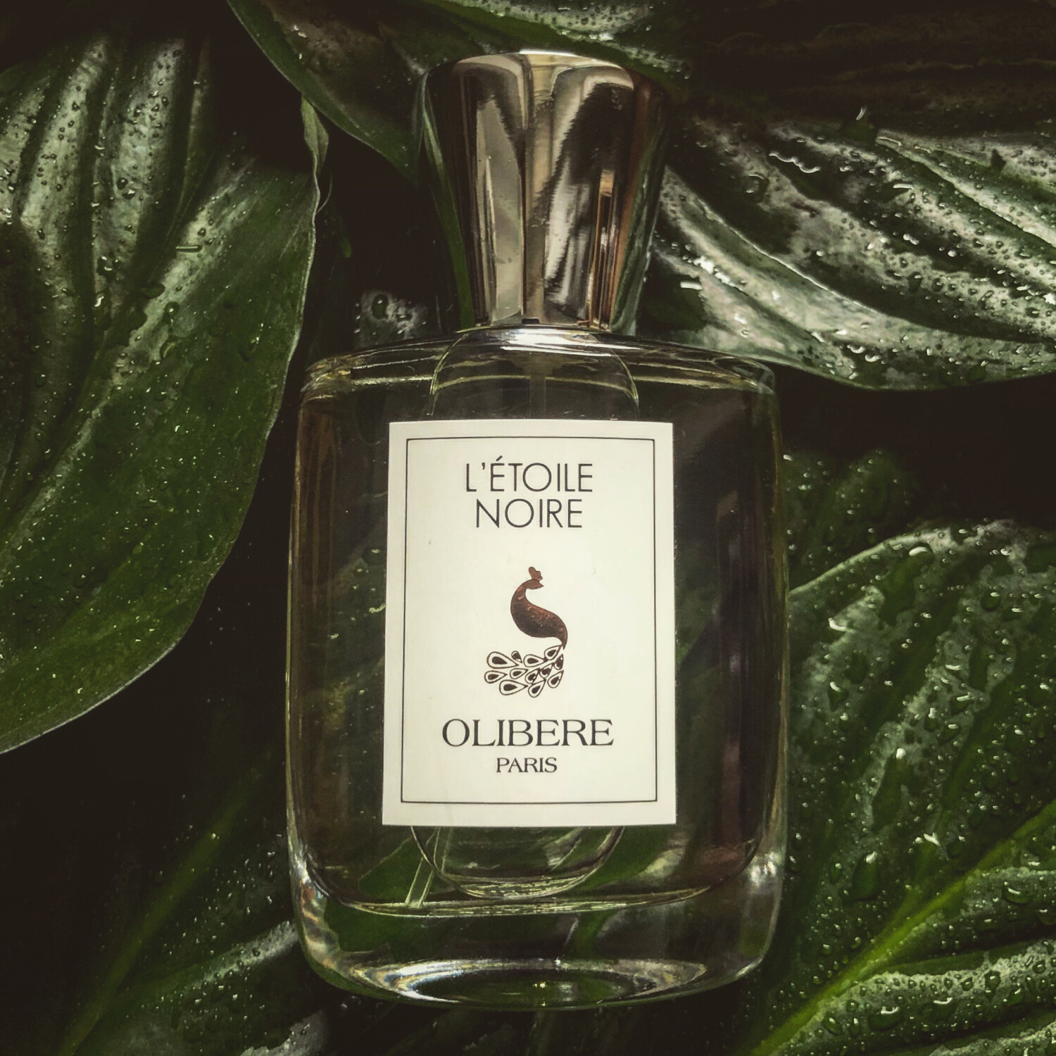 L'Etoile Noire Olibere Parfums 香水 - 一款 2016年 中性 香水