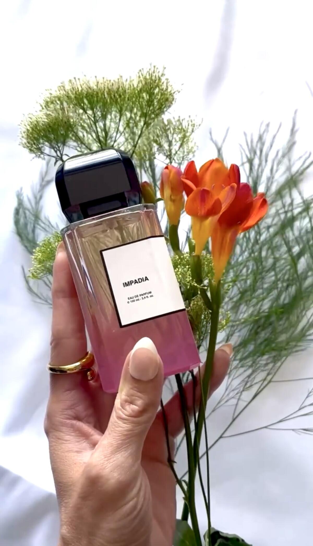 Impadia BDK Parfums בושם - הינו ניחוח חדש 2025 לנשים וגברים