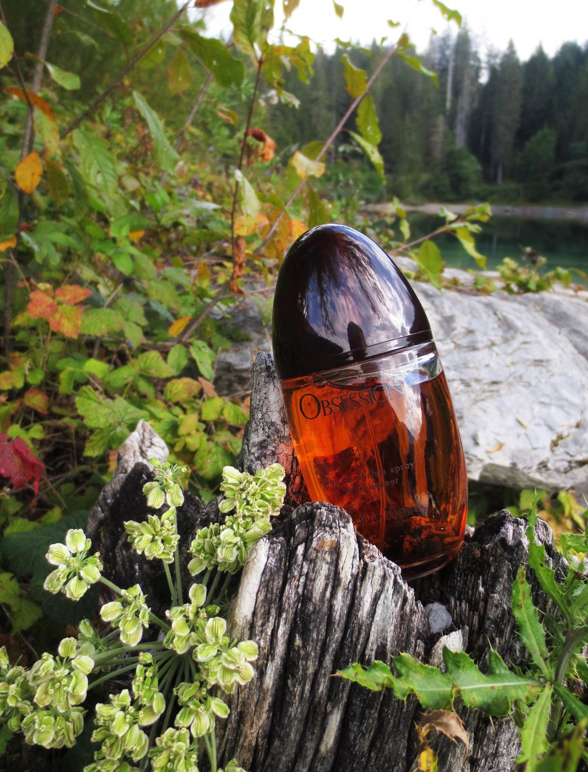 Obsession Calvin Klein perfume - a fragrance for women 1985