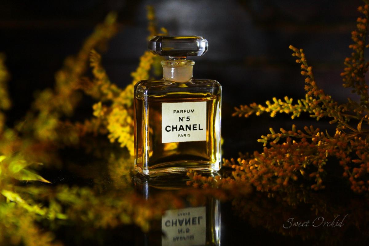 Chanel No 5 Parfum Chanel perfume - a fragrance for women 1921