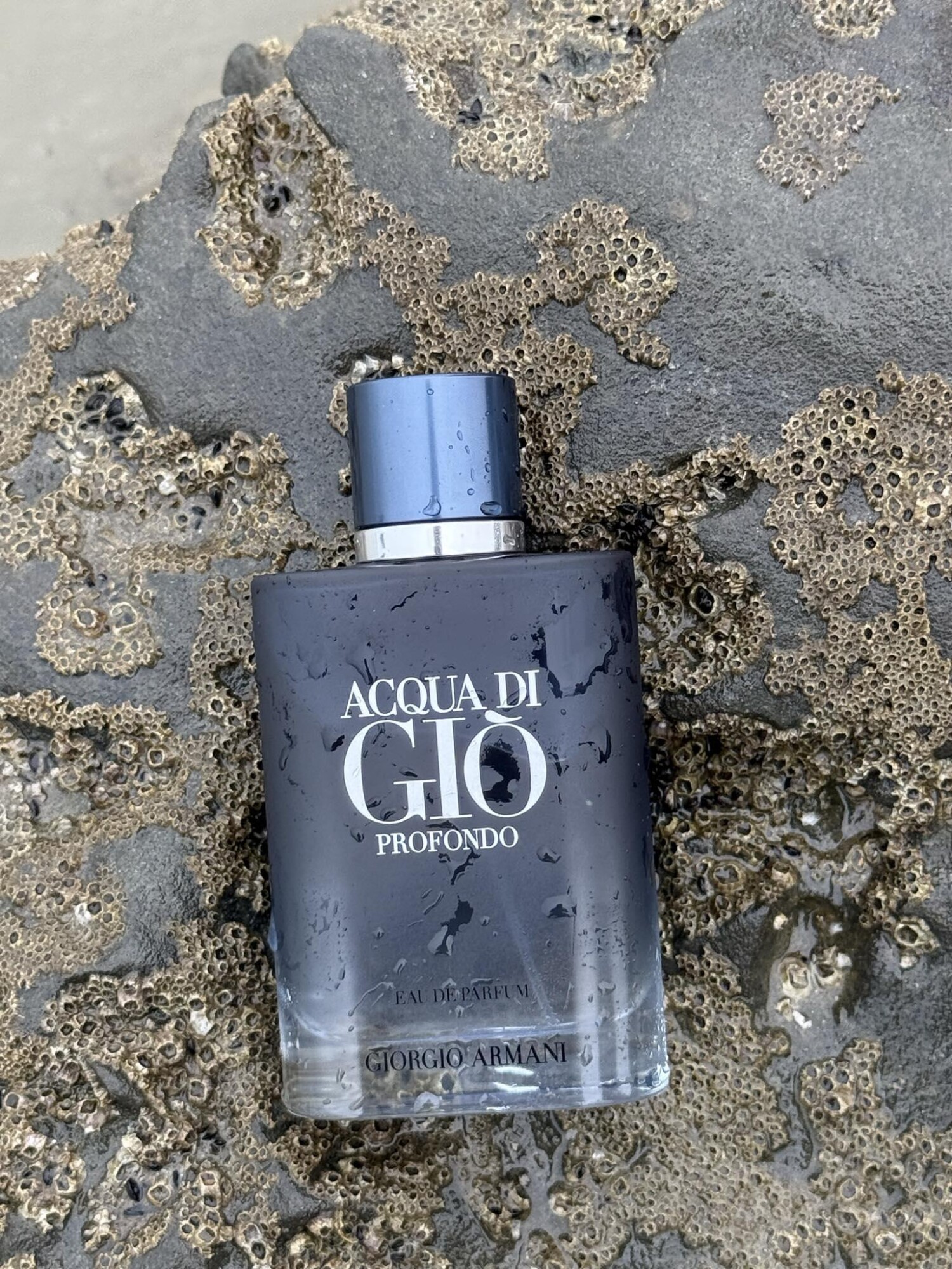 Acqua di Giò Profondo Eau de Parfum (2024) Giorgio Armani cologne - a ...