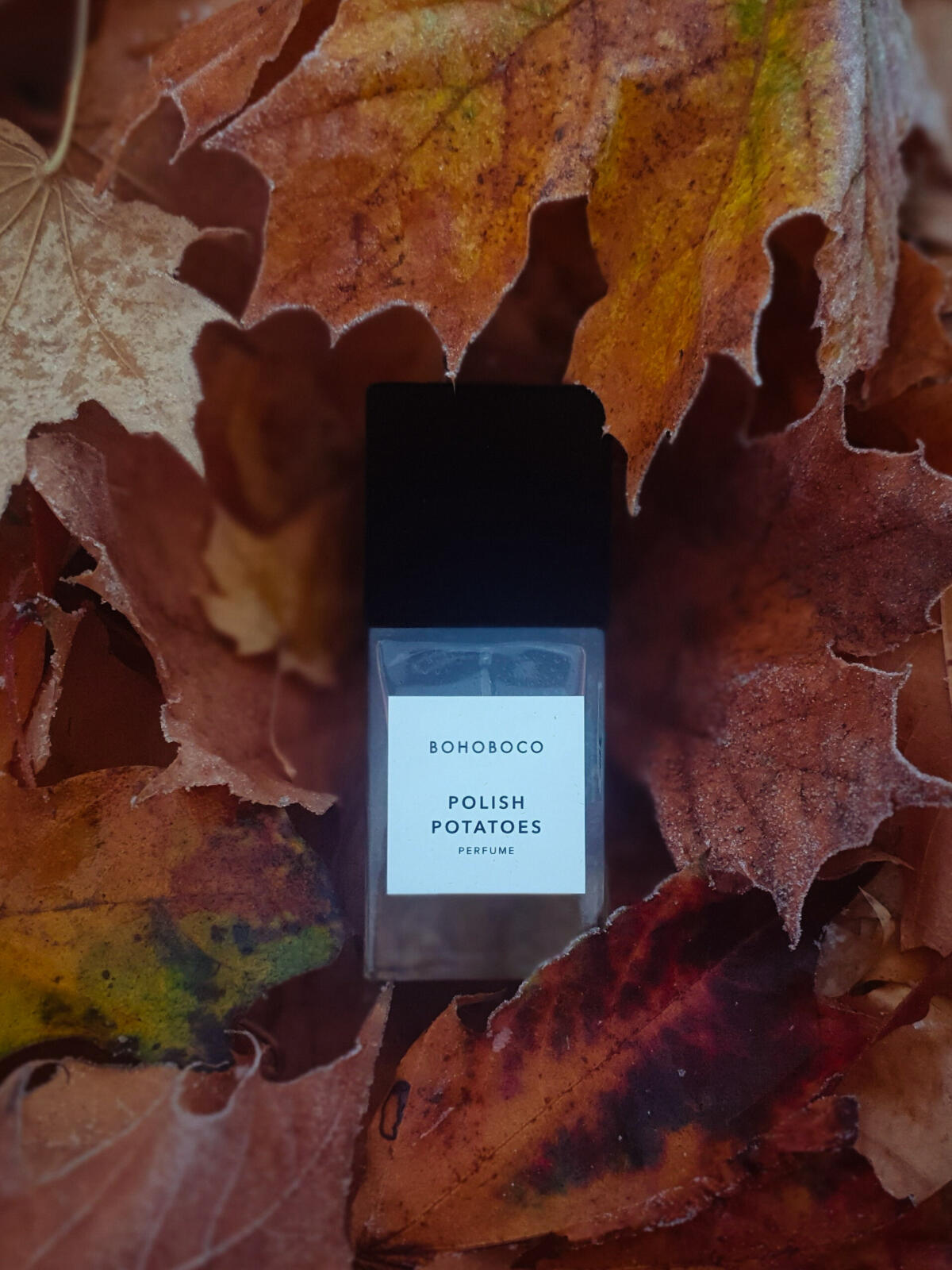 Polish Potatoes Bohoboco Parfum - ein neues Parfum für Frauen und ...