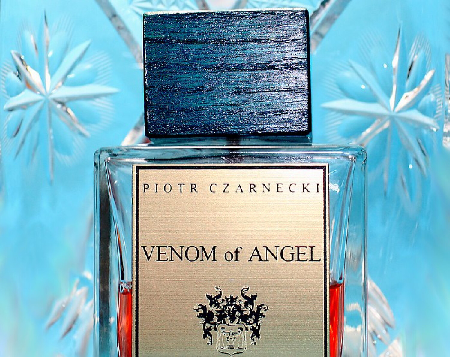 Venom of Angel Piotr Czarnecki perfume - a fragrance for women and men 2017