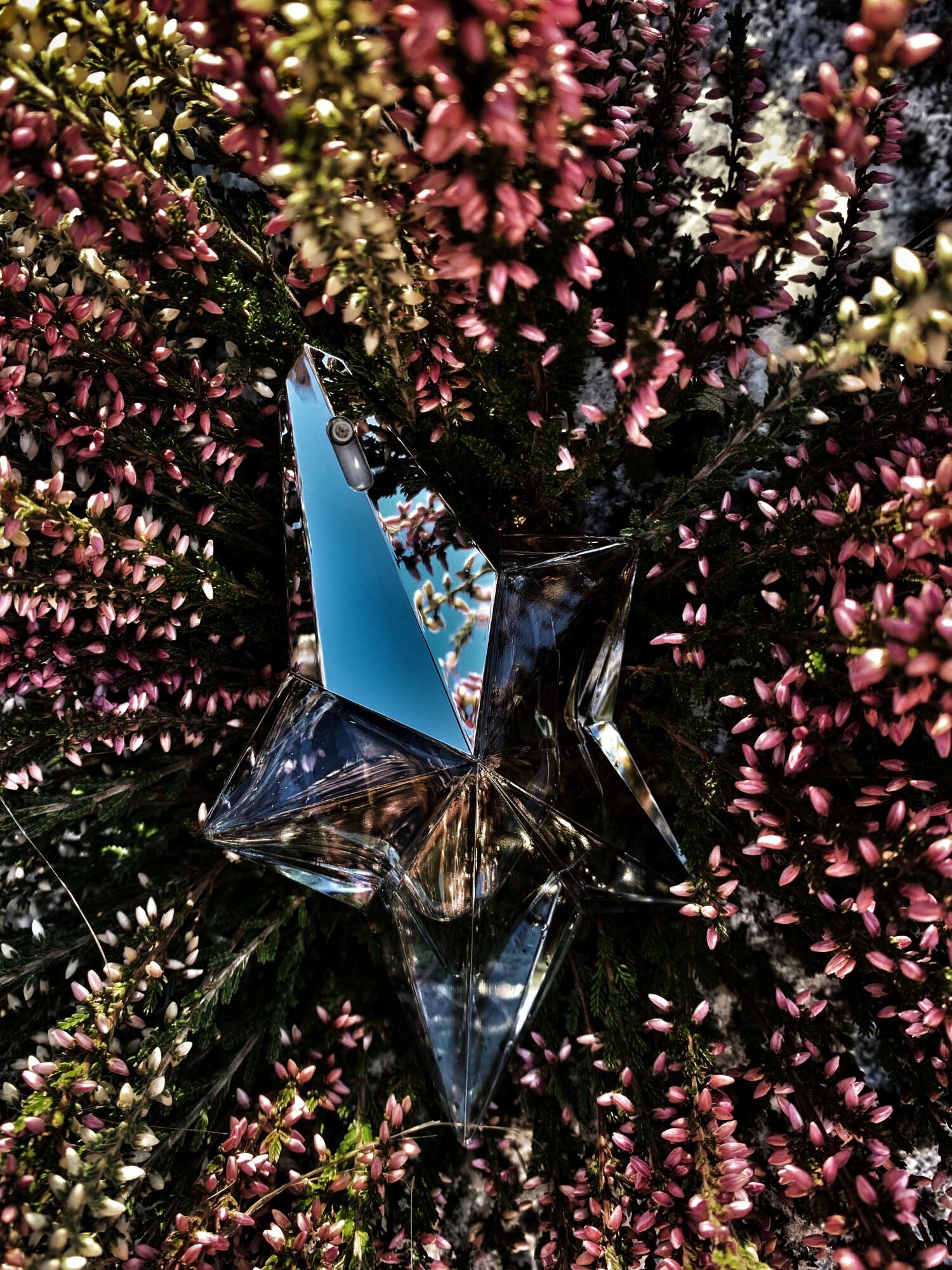 Angel Mugler perfume - a fragrance for women 1992