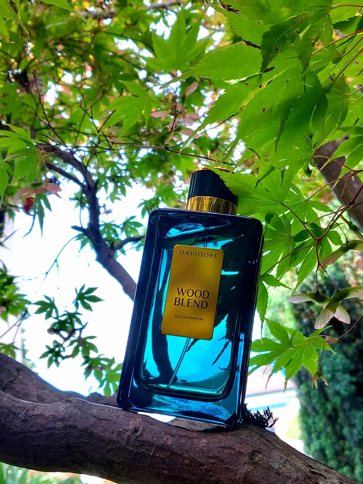 Wood Blend Davidoff fragancia - una fragancia para Hombres y Mujeres 2017