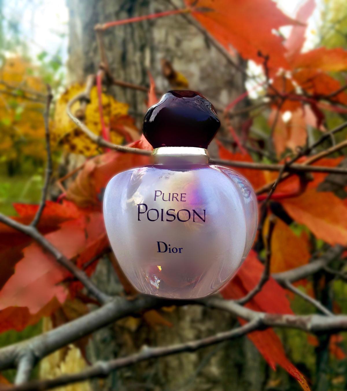 Pure Poison Dior perfume - a fragrance for women 2004