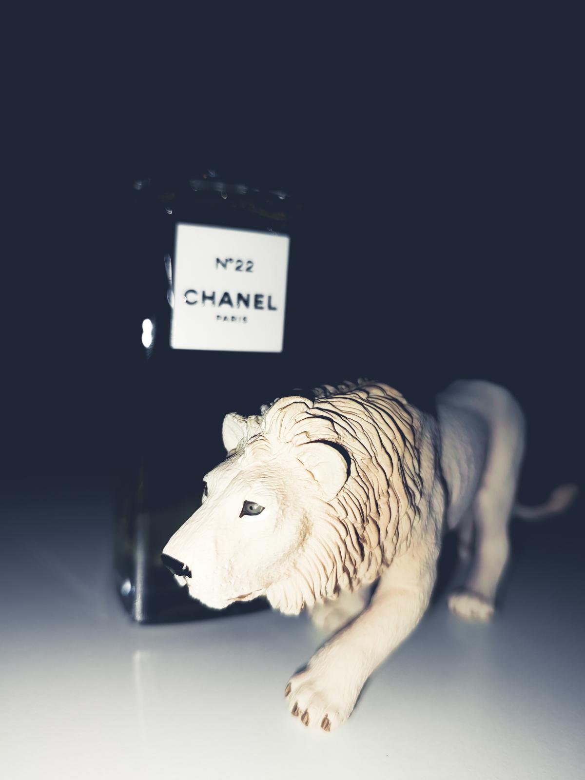 N°22 Eau de Parfum Chanel perfume - a fragrance for women 2016