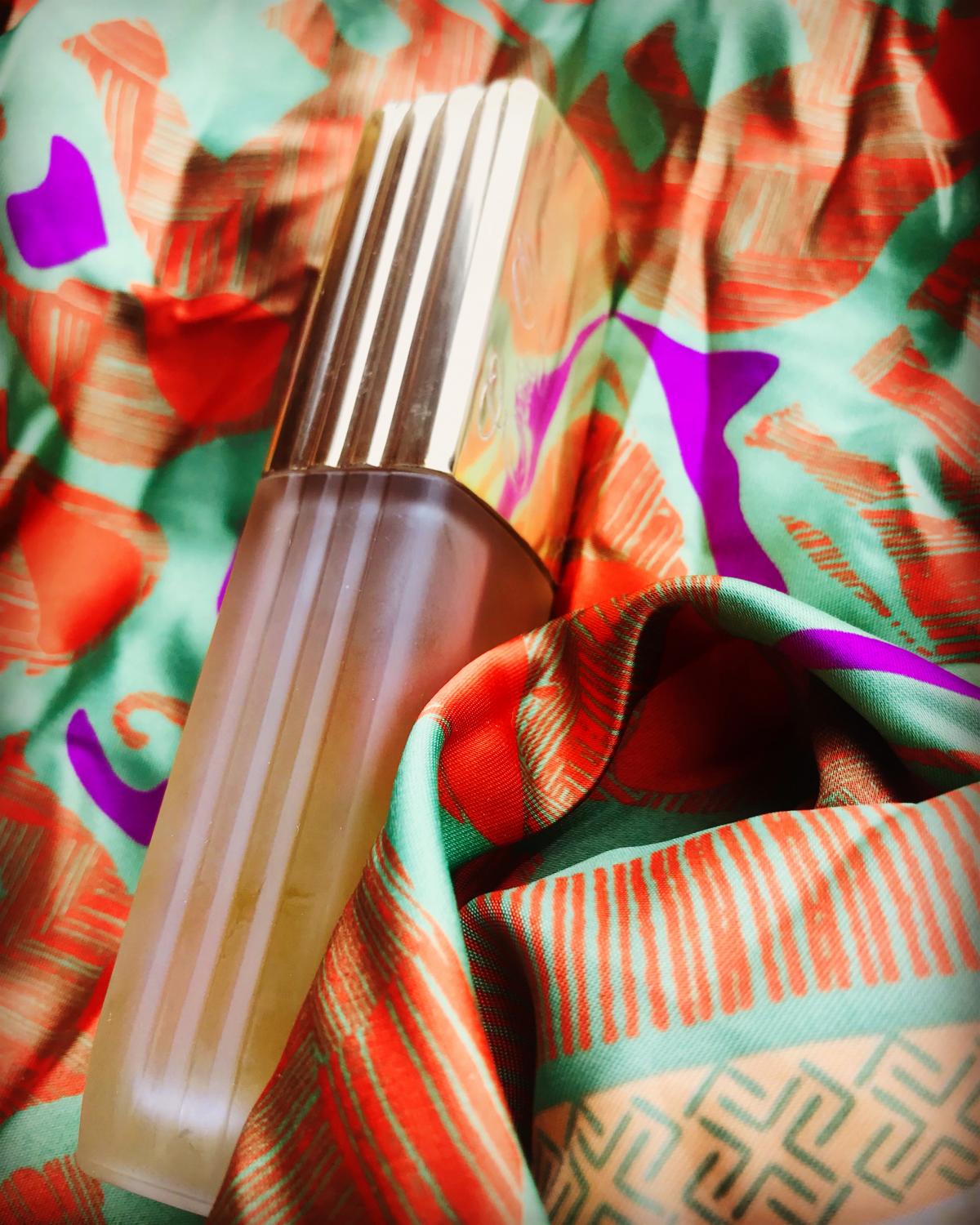 Eau de Private Collection Estée Lauder perfume - a fragrance for women