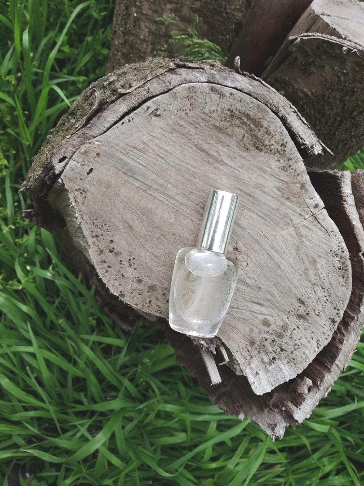 Koza Dereza Коза Дереза Ladanika perfume - a new fragrance for women ...