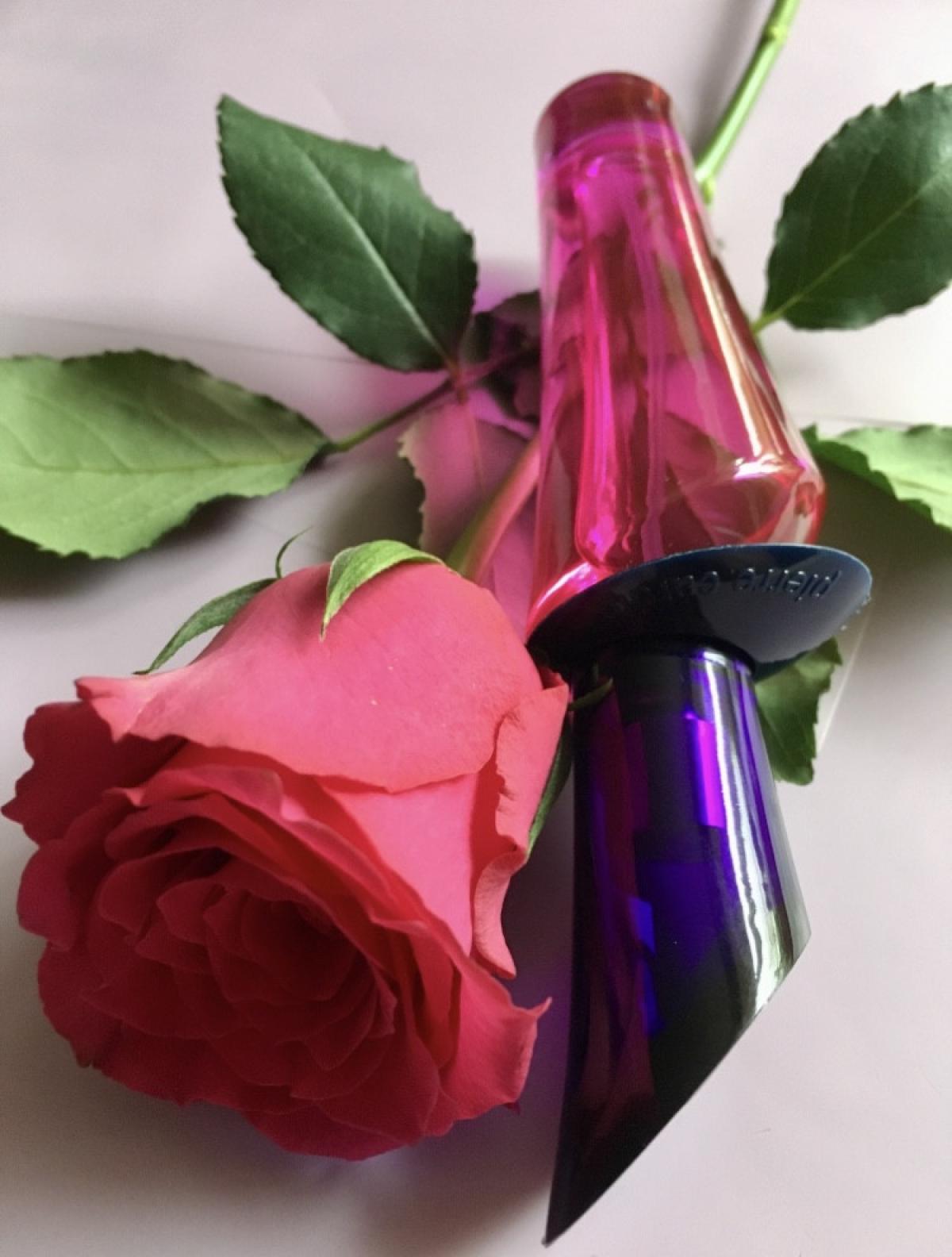 Rose by Cardin Pierre Cardin perfume - a fragrance for women 1990