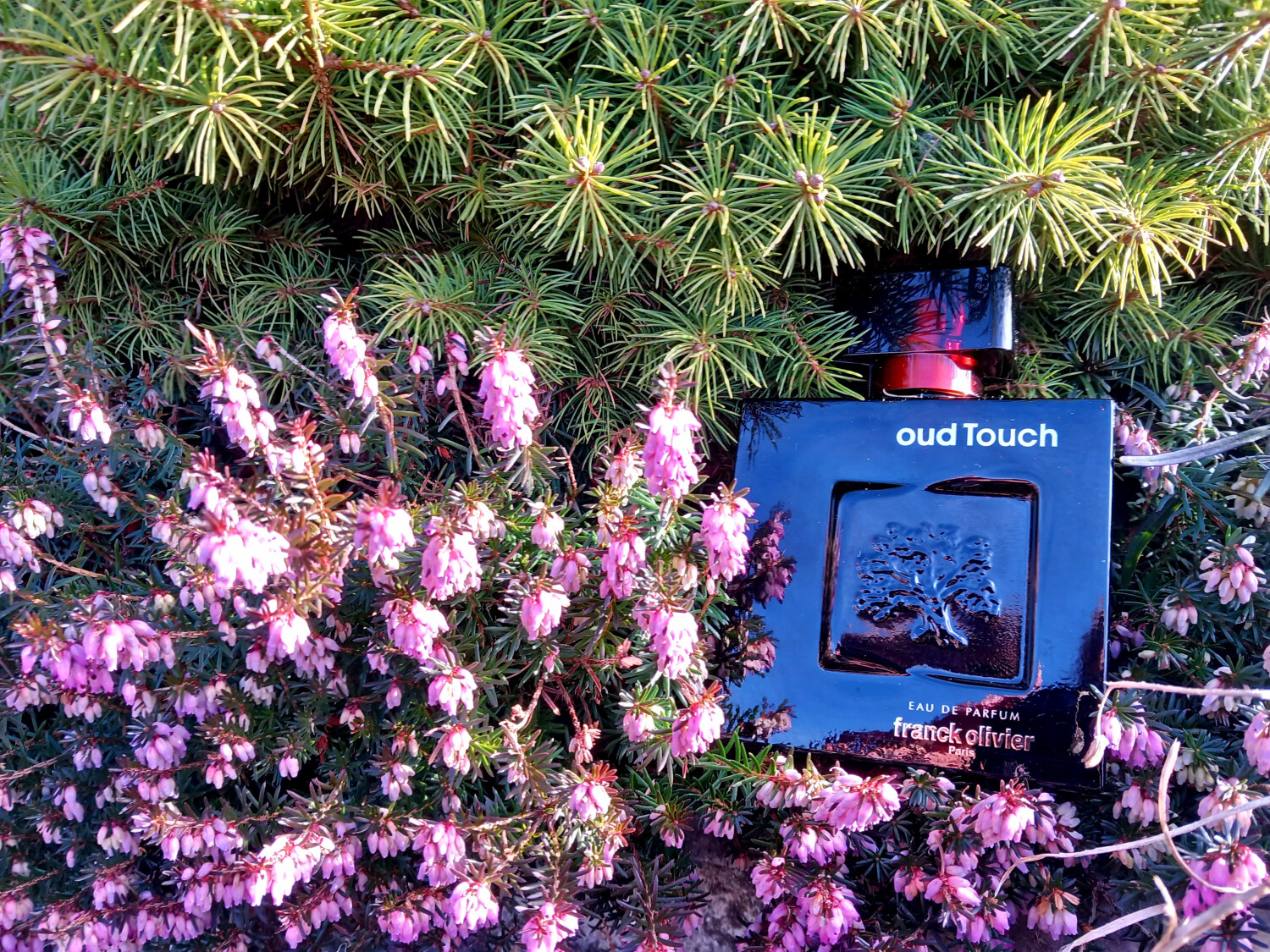 Oud Touch Franck Olivier cologne - a fragrance for men 2014