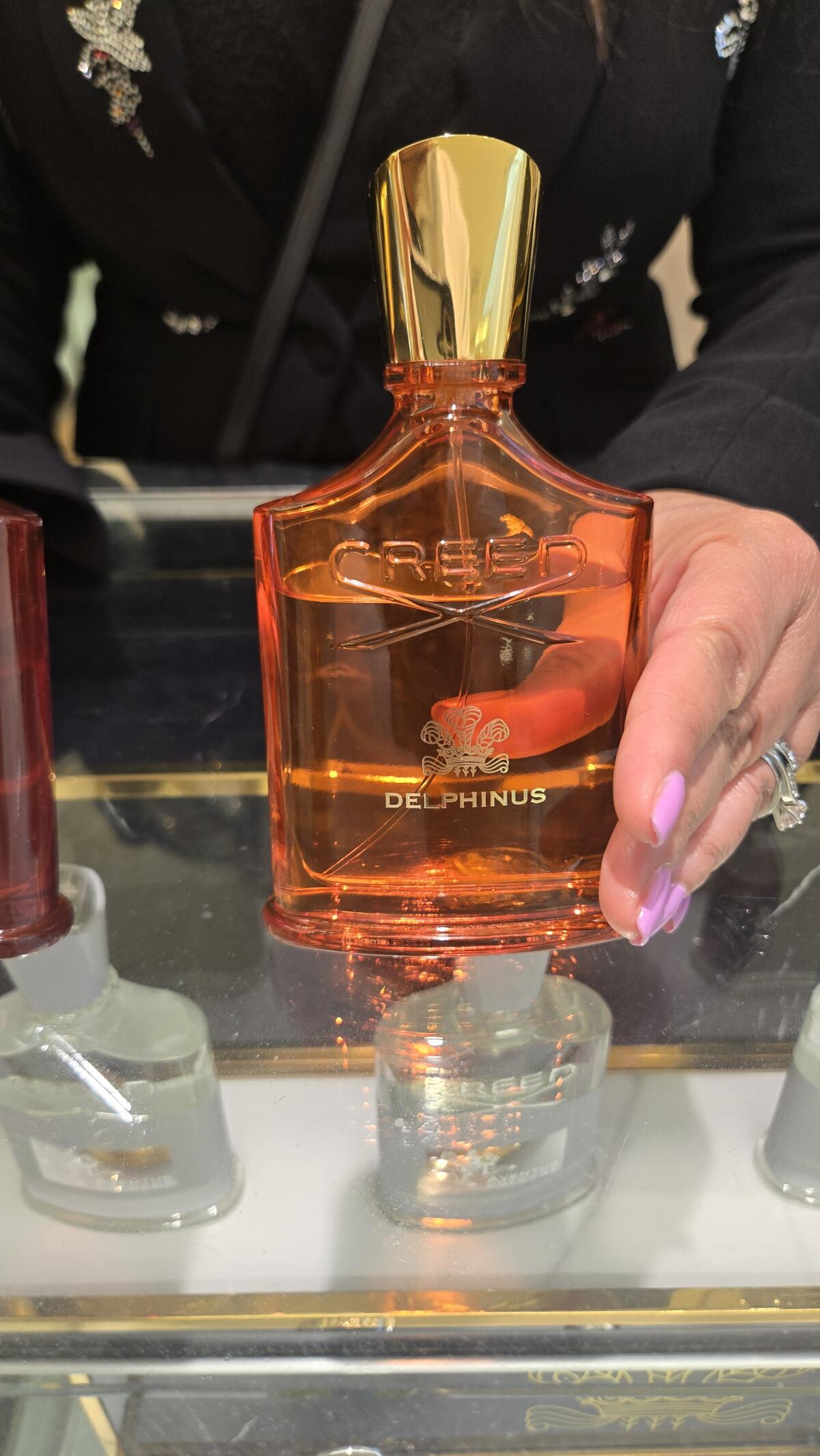 Delphinus Creed perfumy - to nowe perfumy dla kobiet i mężczyzn 2024