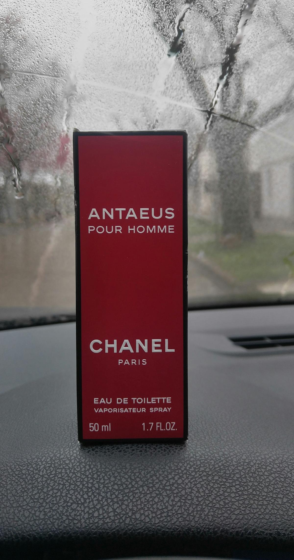 Antaeus Chanel cologne - a fragrance for men 1981