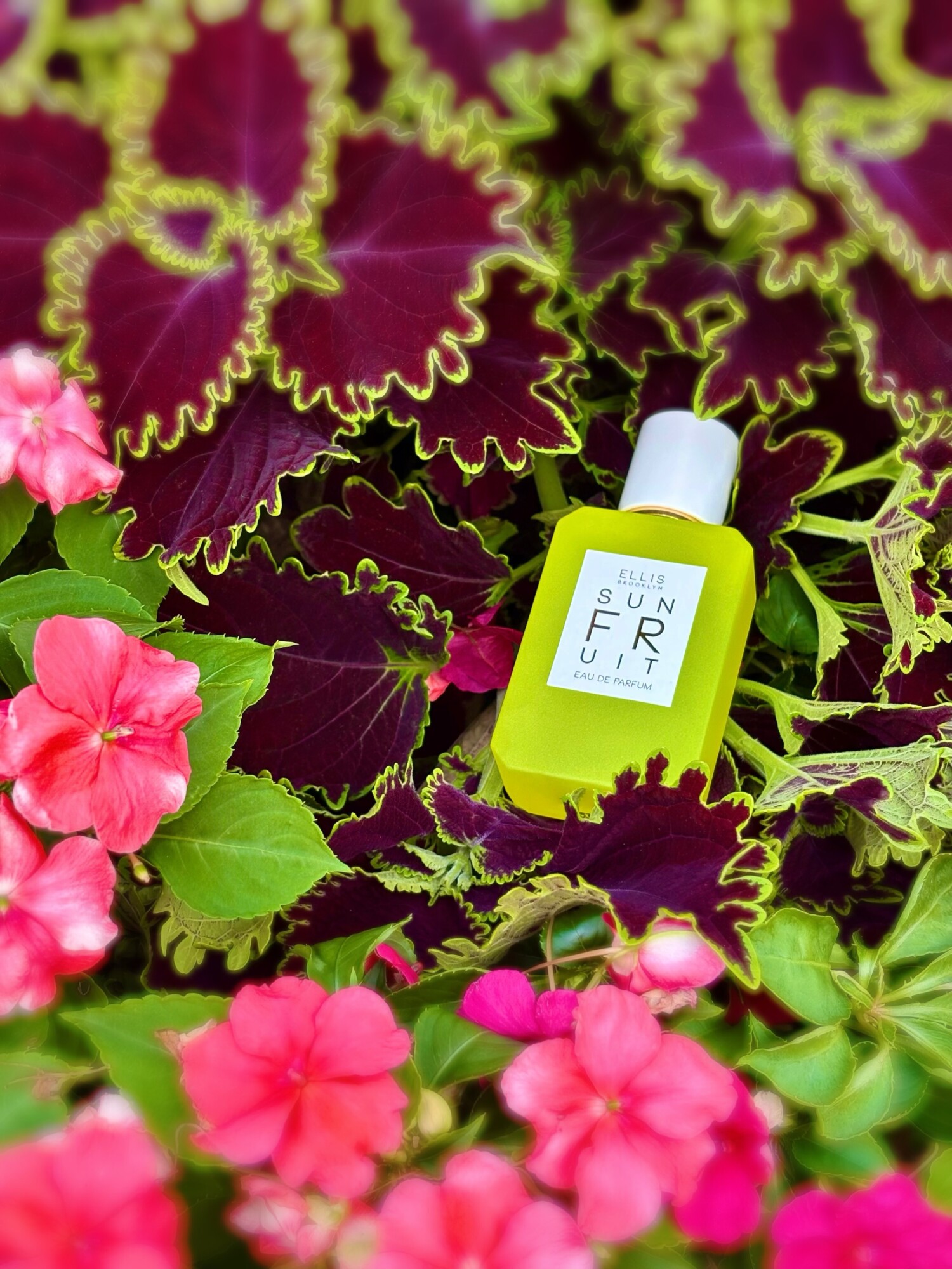 Sun Fruit Ellis Brooklyn perfume - a fragrance for women and men 2022