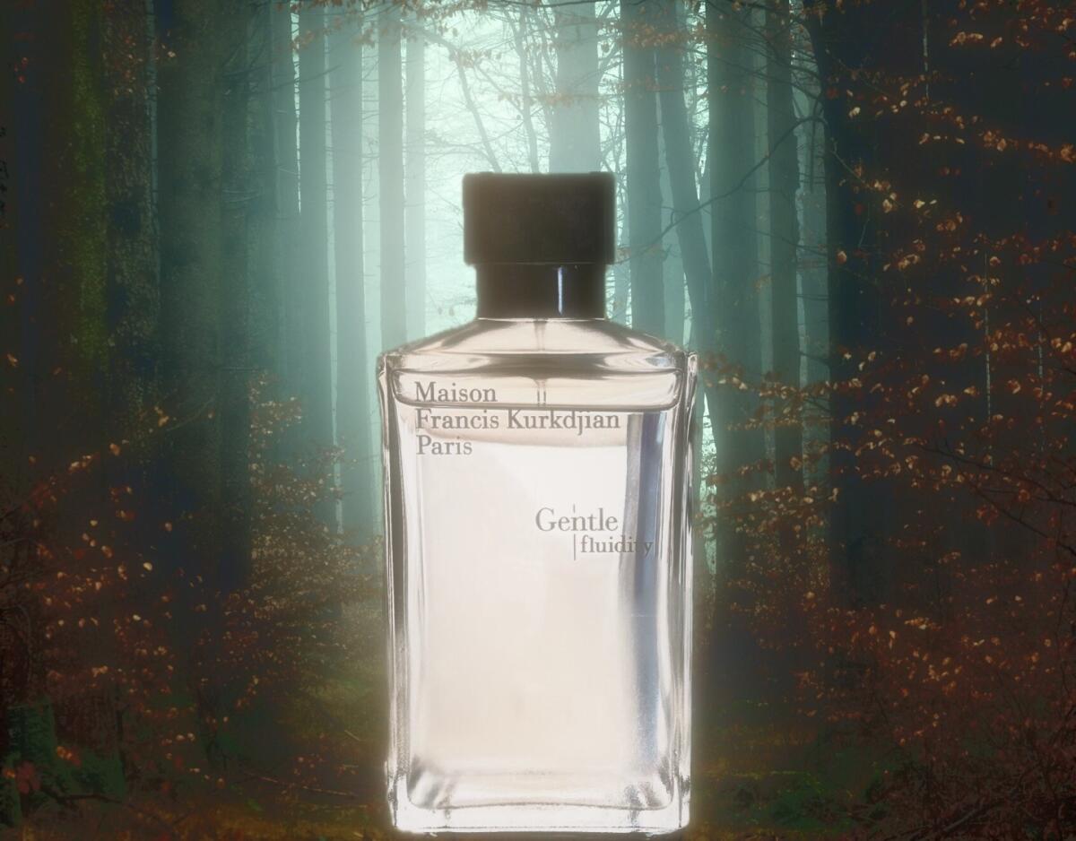 Gentle Fluidity Silver Maison Francis Kurkdjian perfume - a fragrance ...