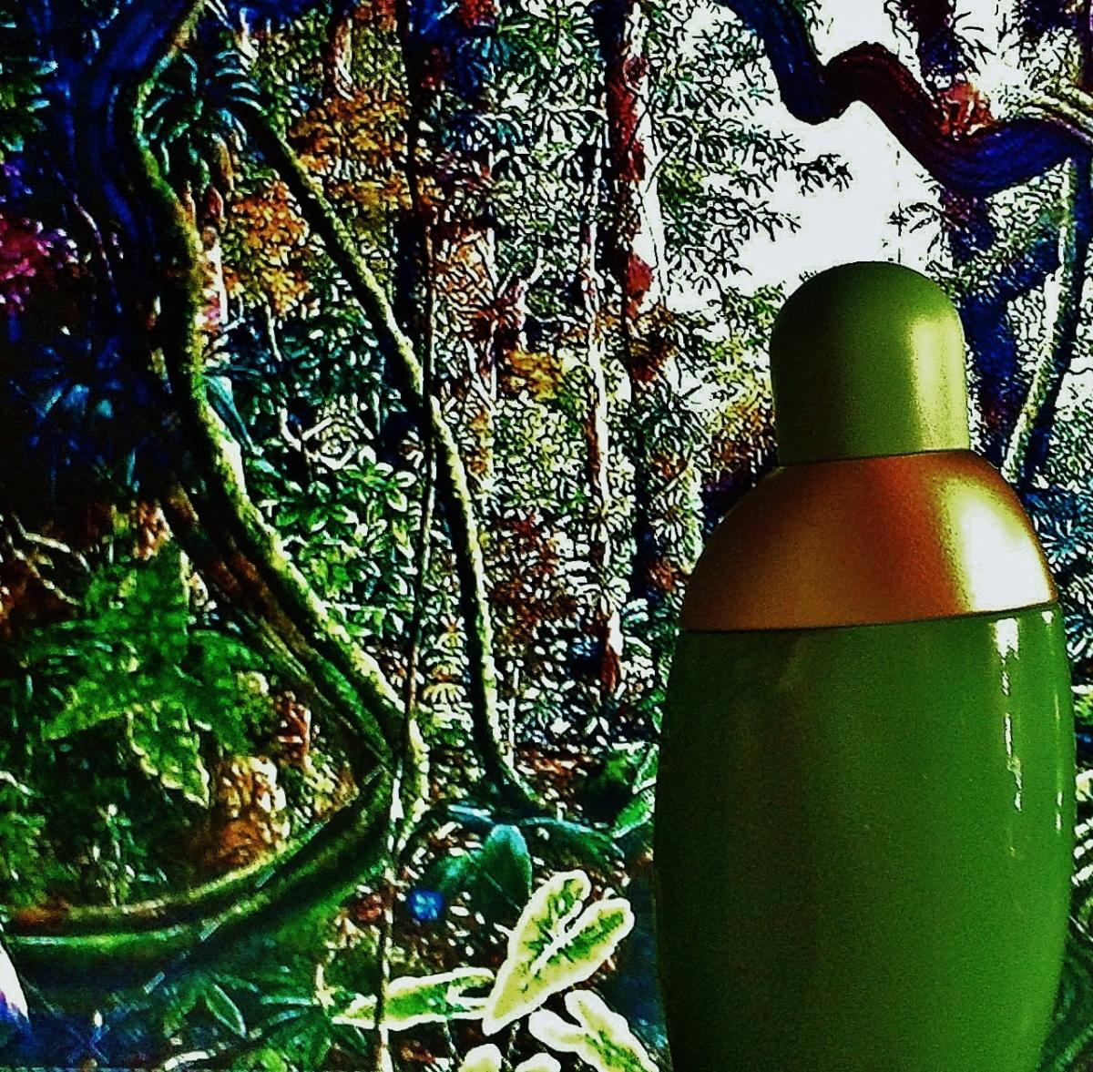 Eden Cacharel perfumy - to perfumy dla kobiet 1994