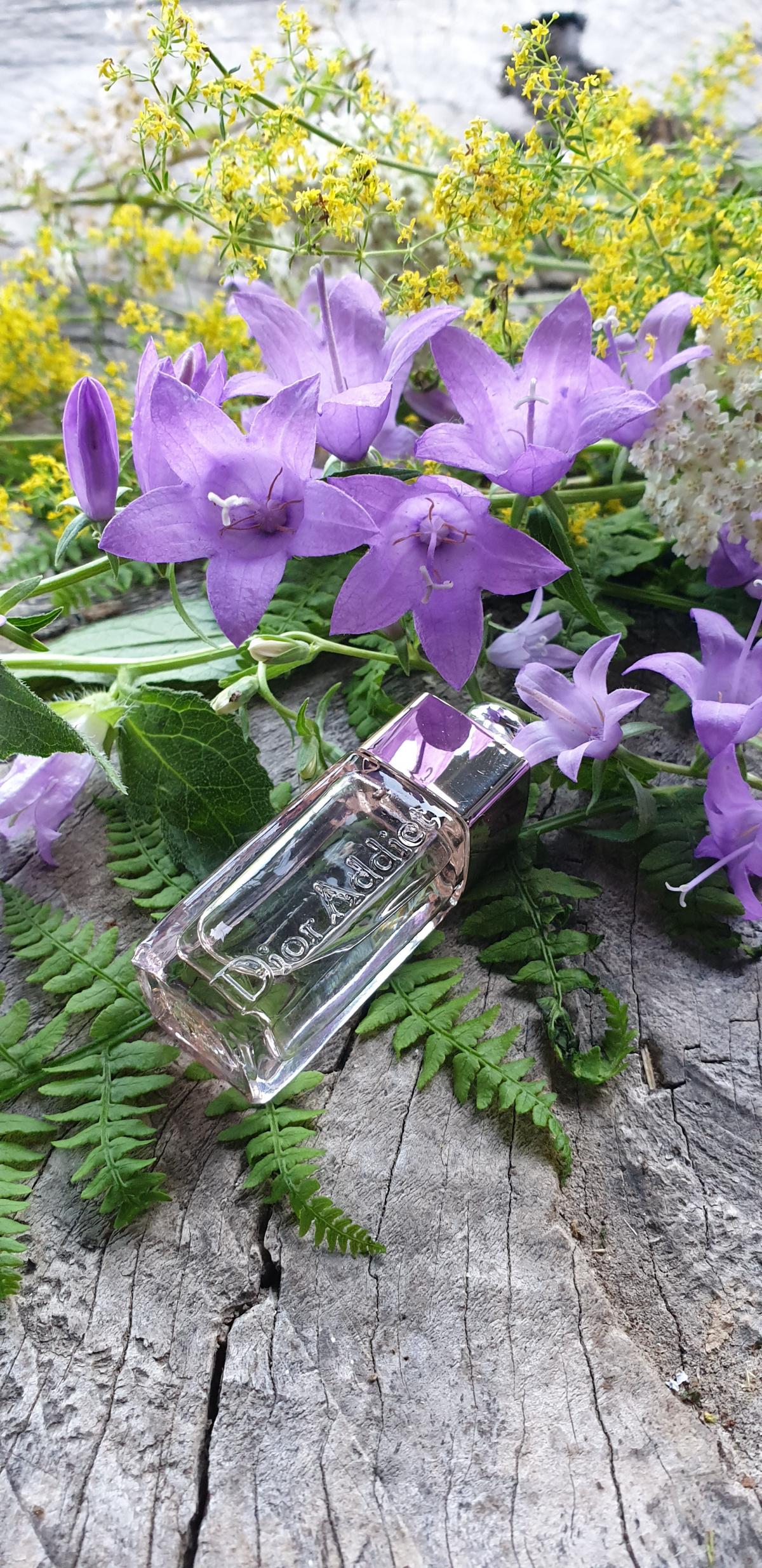 Dior Addict Shine Dior perfume - a fragrance for women 2007