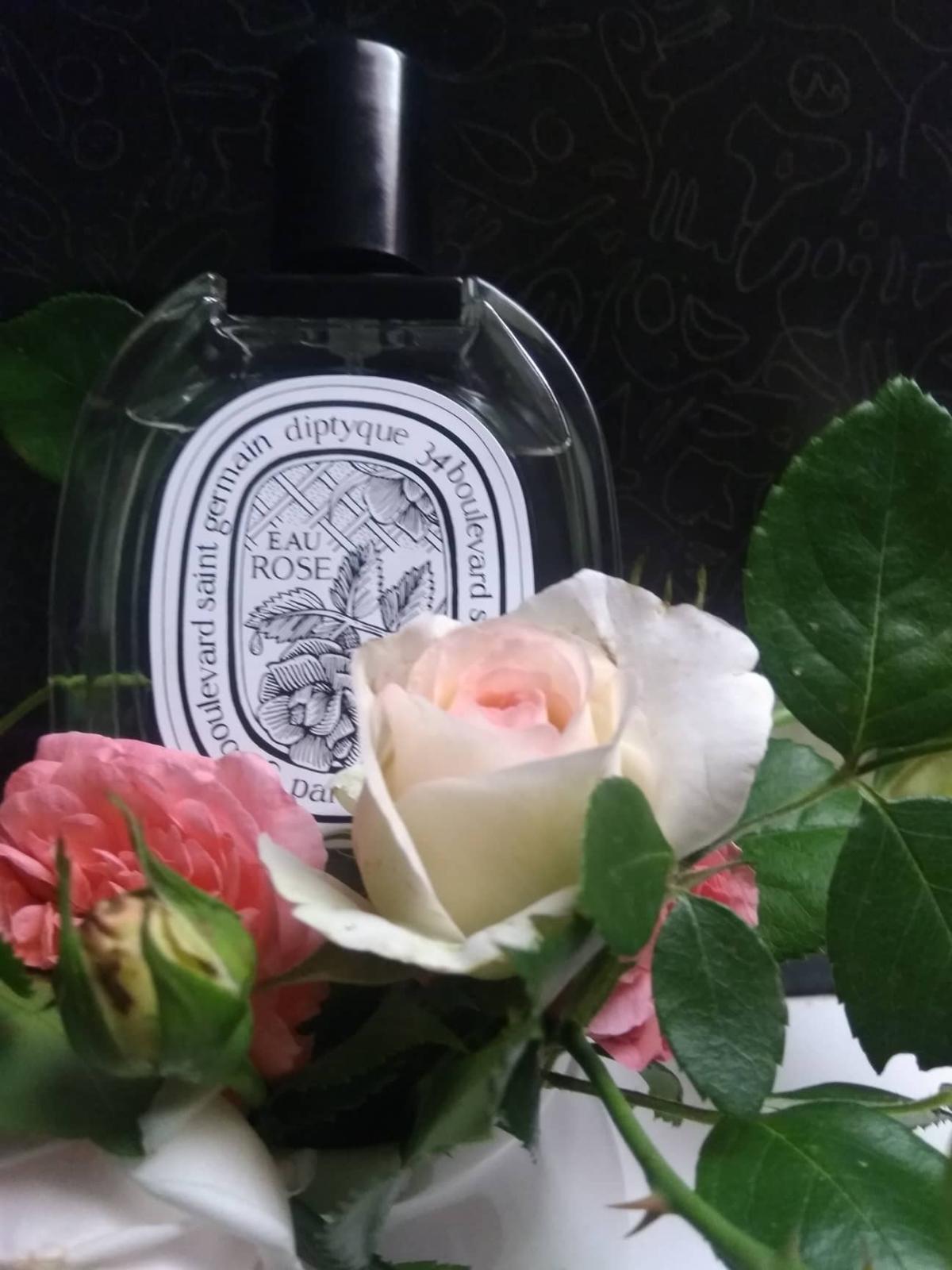 Eau Rose Diptyque perfume - a fragrance for women 2012