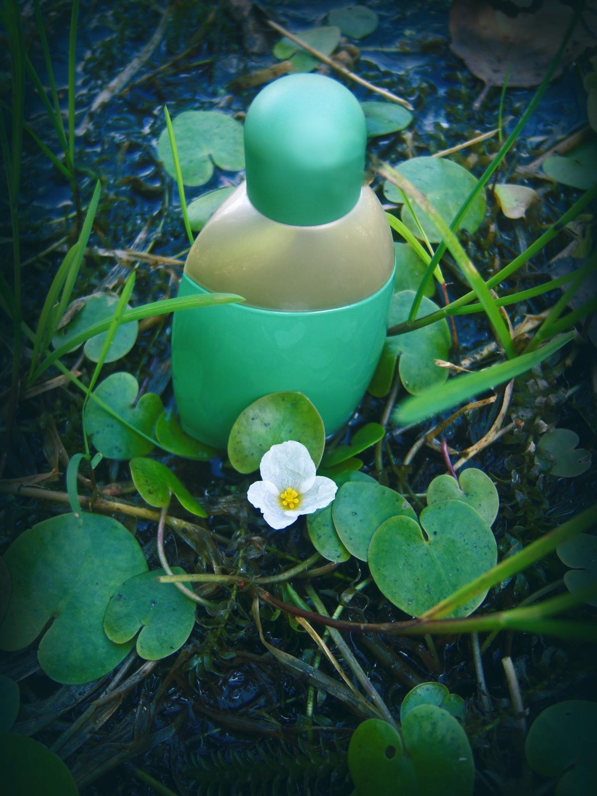 Eden Cacharel perfume - a fragrance for women 1994