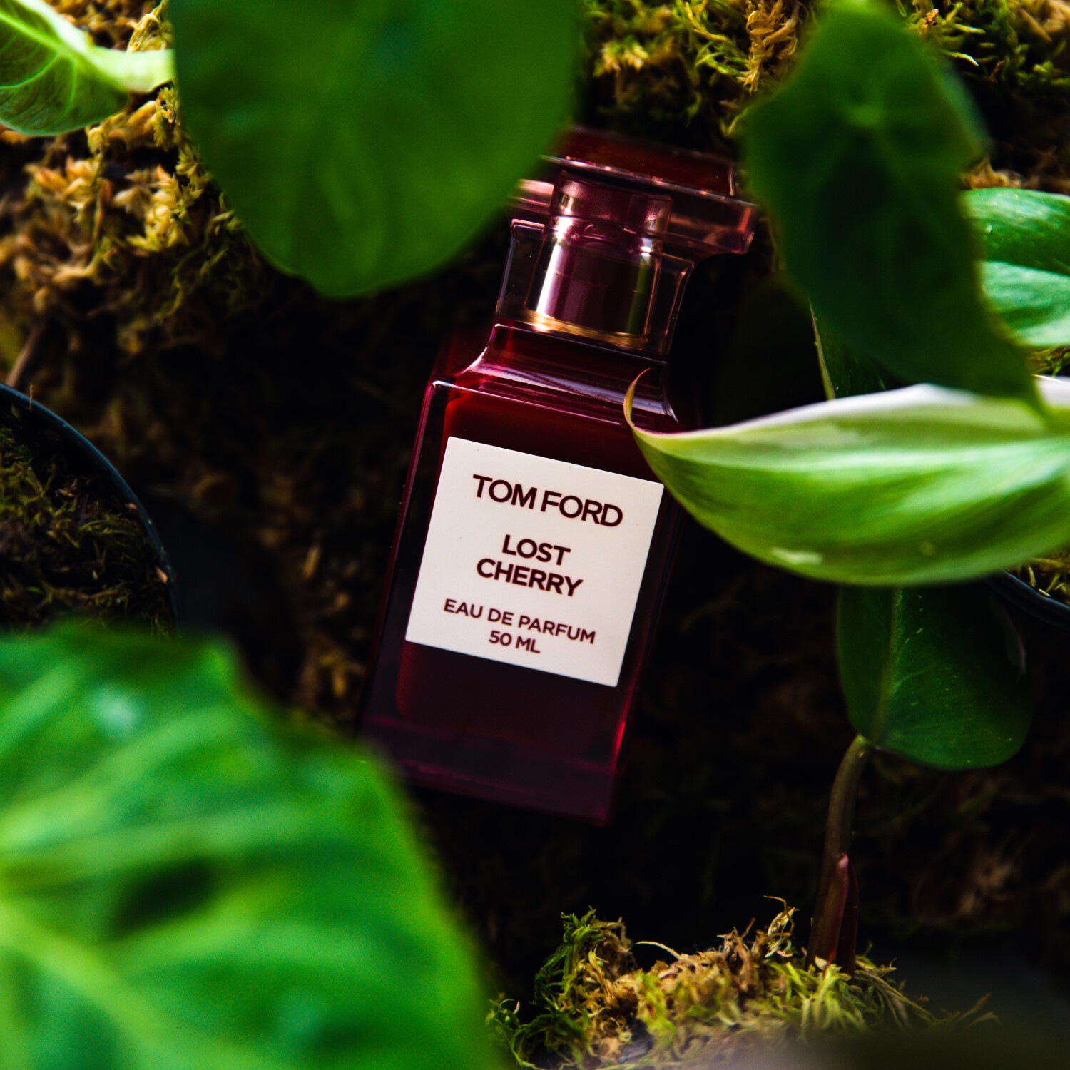 Lost Cherry Tom Ford perfume - a fragrance for women and men 2018
