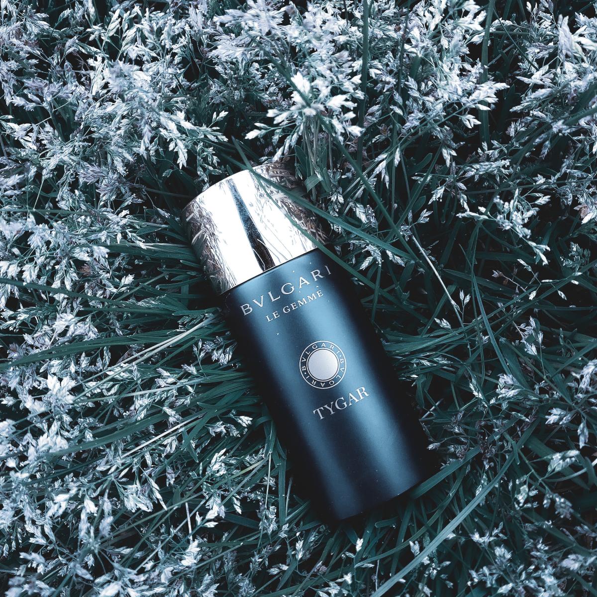 Tygar Bvlgari cologne - a fragrance for men 2016