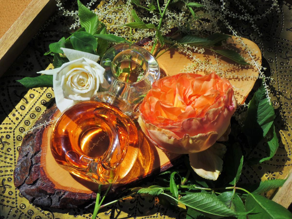 Bijan Bijan perfume - a fragrance for women 1986