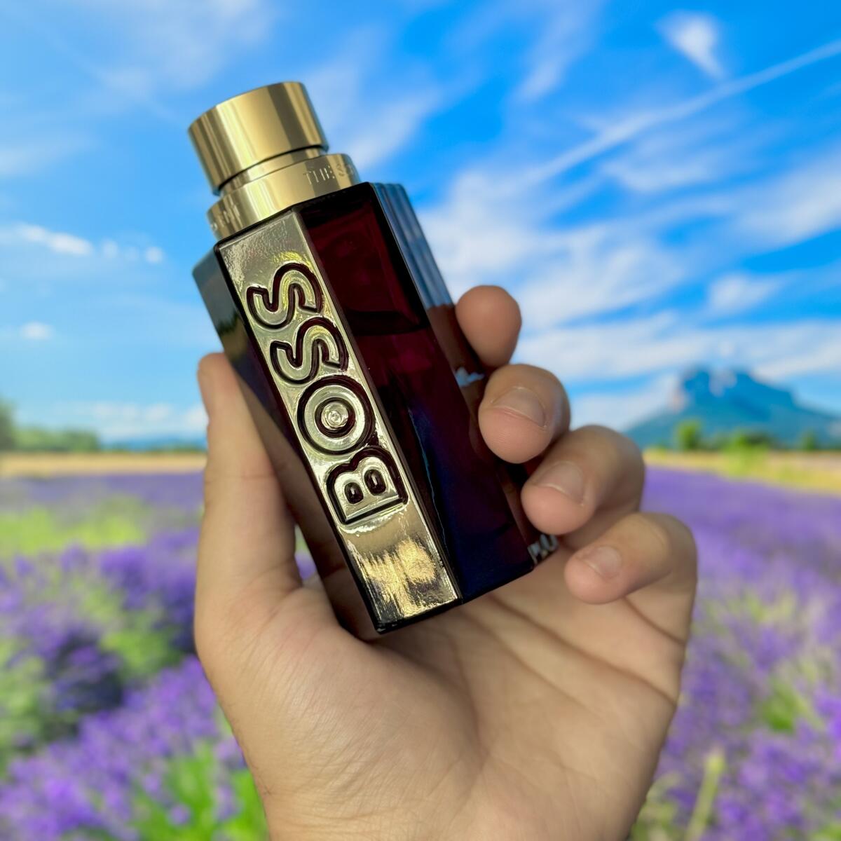 Boss The Scent Elixir For Him Hugo Boss cologne - a new fragrance for ...