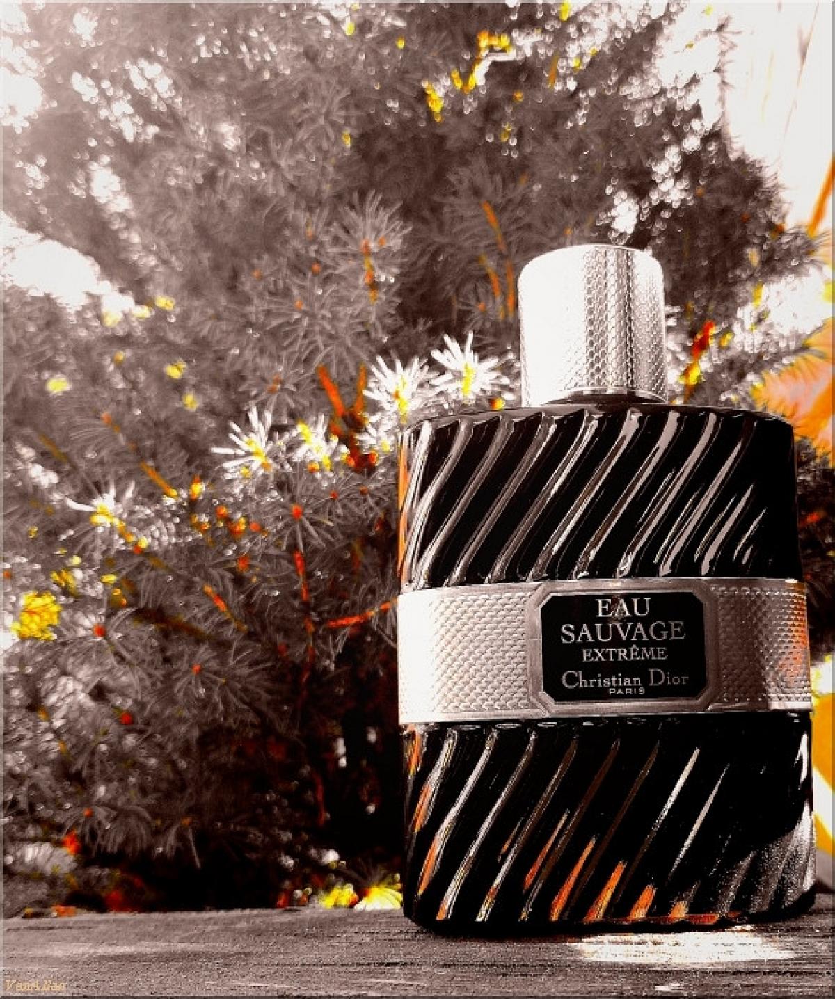 Eau Sauvage Extreme Dior Cologne - un parfum pour homme 1984