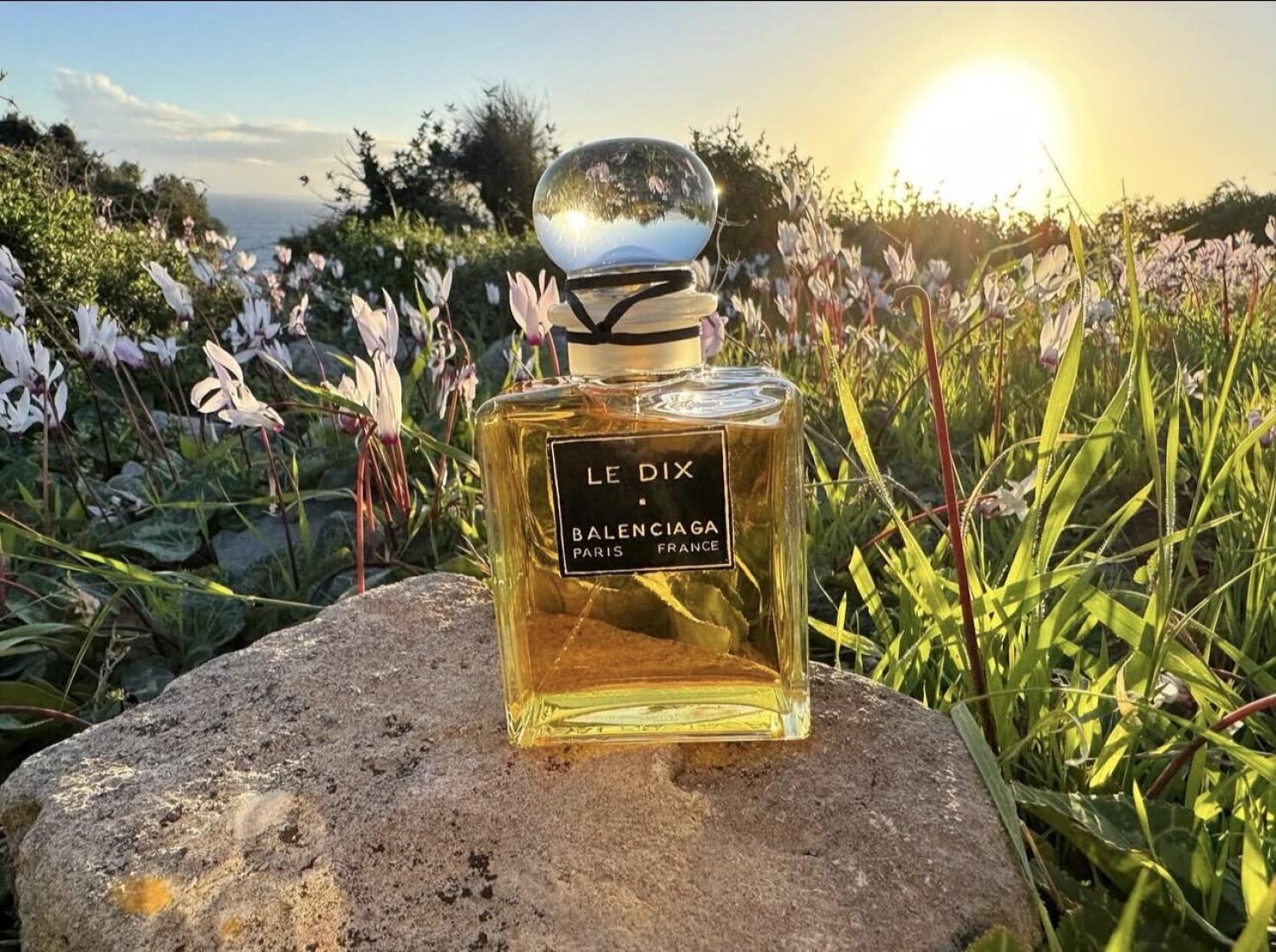 Le Dix (2025) Balenciaga perfume - a new fragrance for women and men 2025